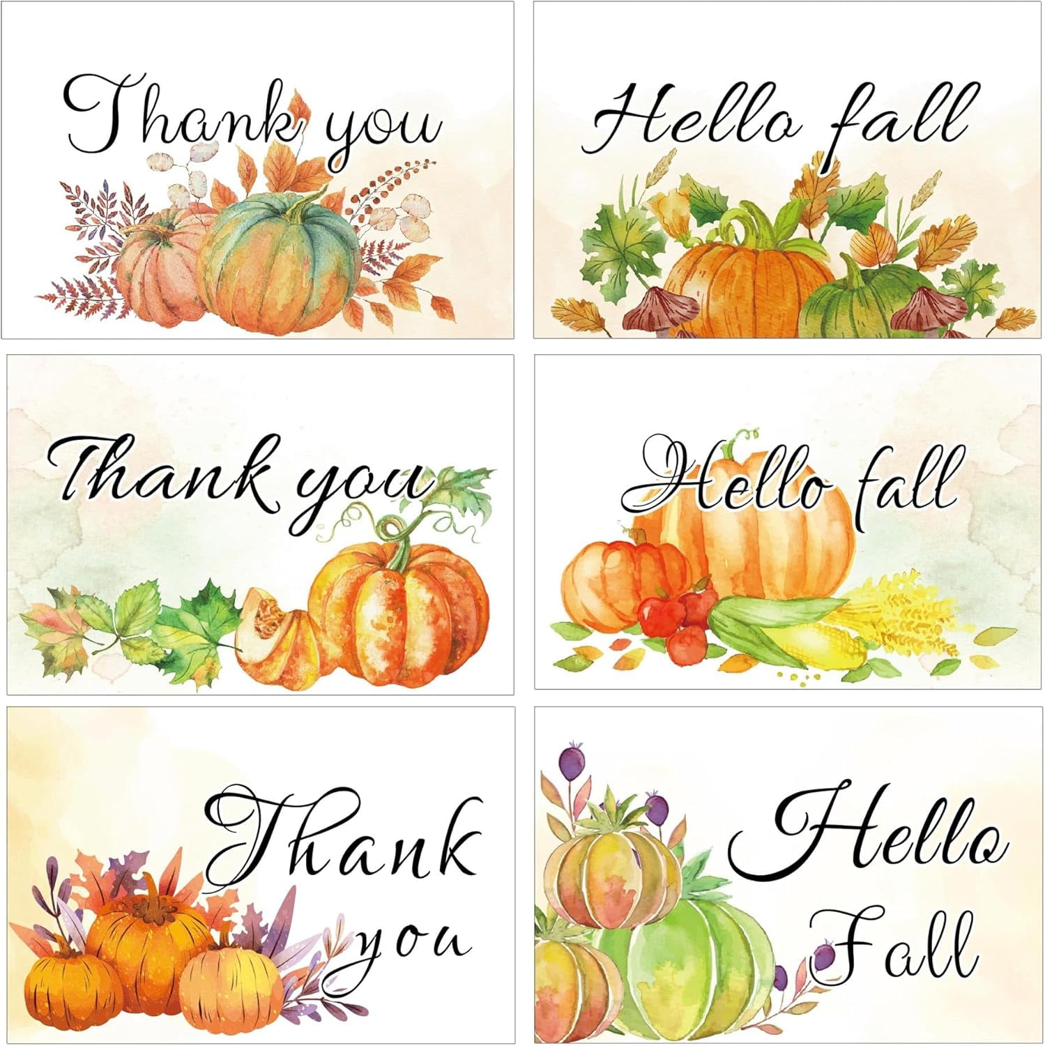 Watercolor Fall Pumpkin Thank You Note Cards with Envelope 24 Pack Fall ...