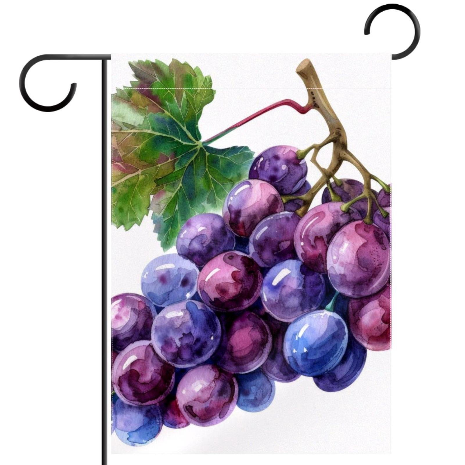 Watercolor Fruit Grapes on White Background Garden Flag Double Sided ...