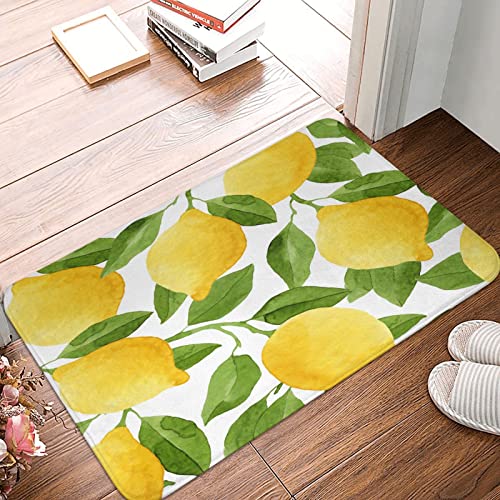 Watercolor Lemon Fruit Door Mat 30 x 18 Inch Sponge Velvet Surface Area ...