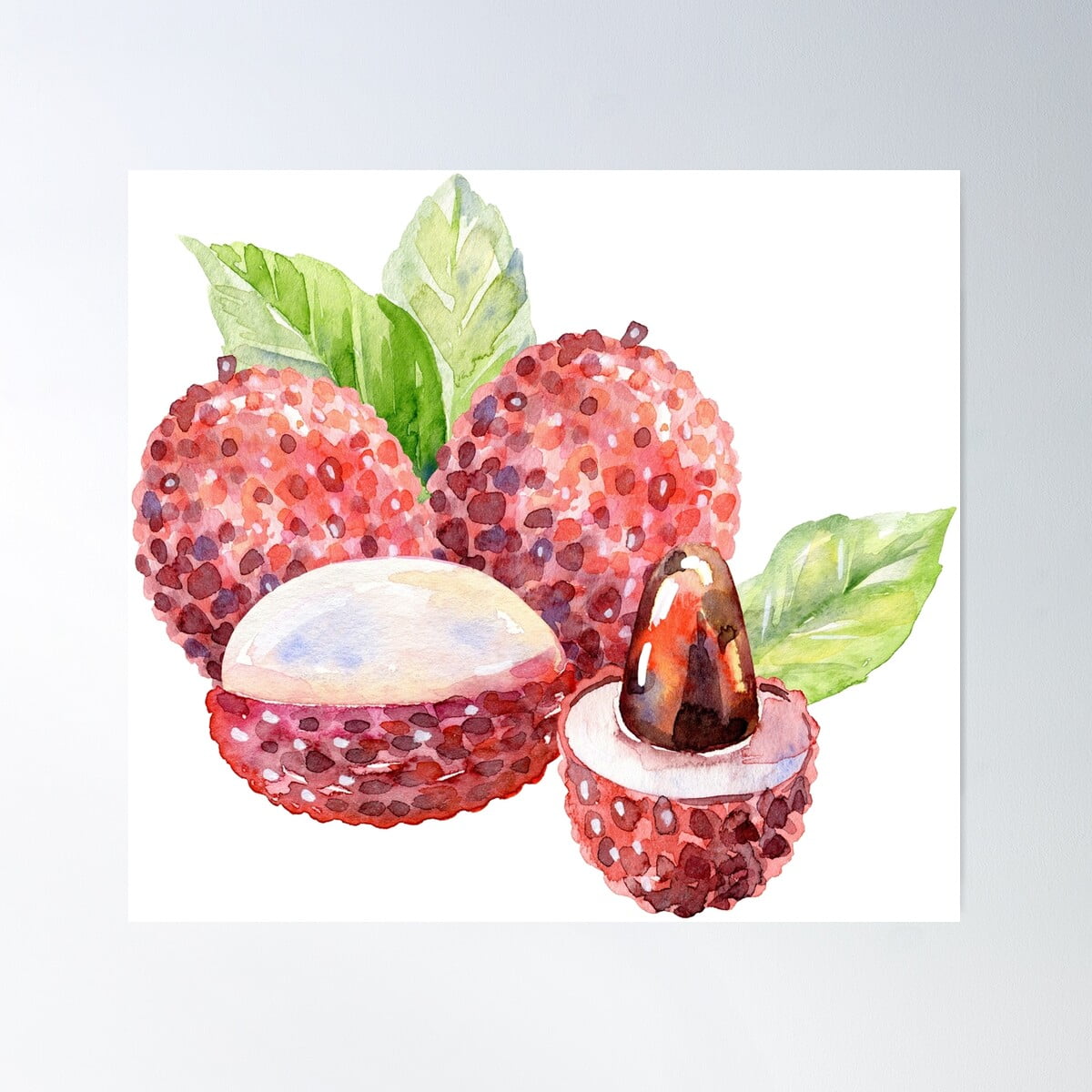 Watercolor Lychee Poster Wall Art, Modern Wall Decor For Living Room ...