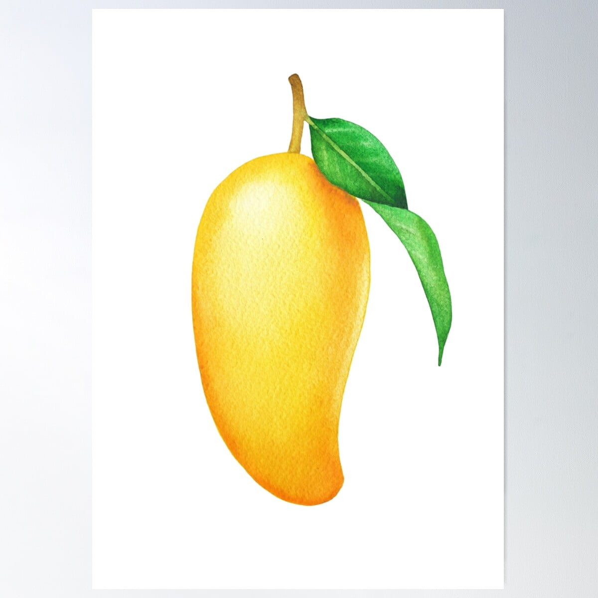 Watercolor Mango Fruit Poster Wall Art, Modern Wall Decor For Living ...