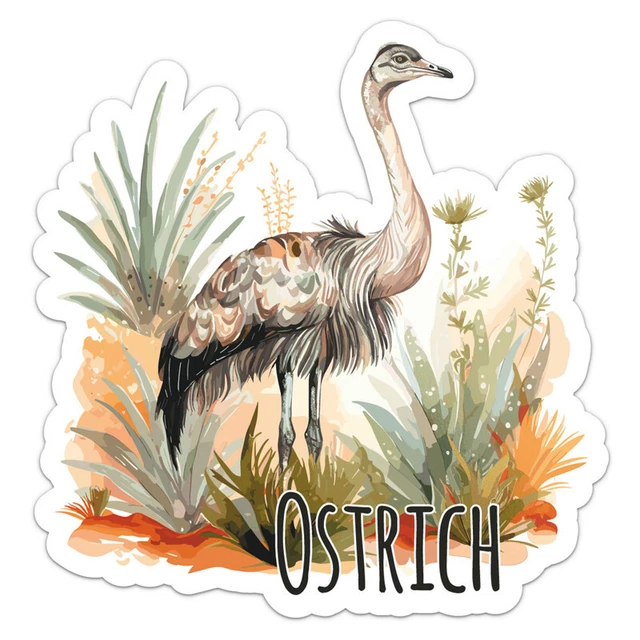 Watercolor Ostrich Animal Sticker Phone Decal Water Bottle Stickers Car ...