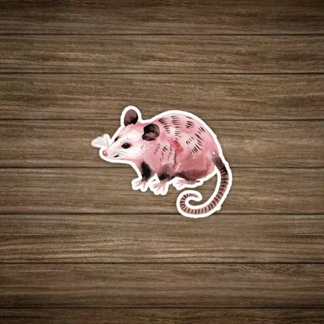 Watercolor Pink Opossum Sticker - Cute Animal Art Decal For Nature ...