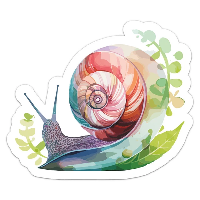 Watercolor Snail Sticker Phone Decal Water Bottle Stickers Car Decals ...