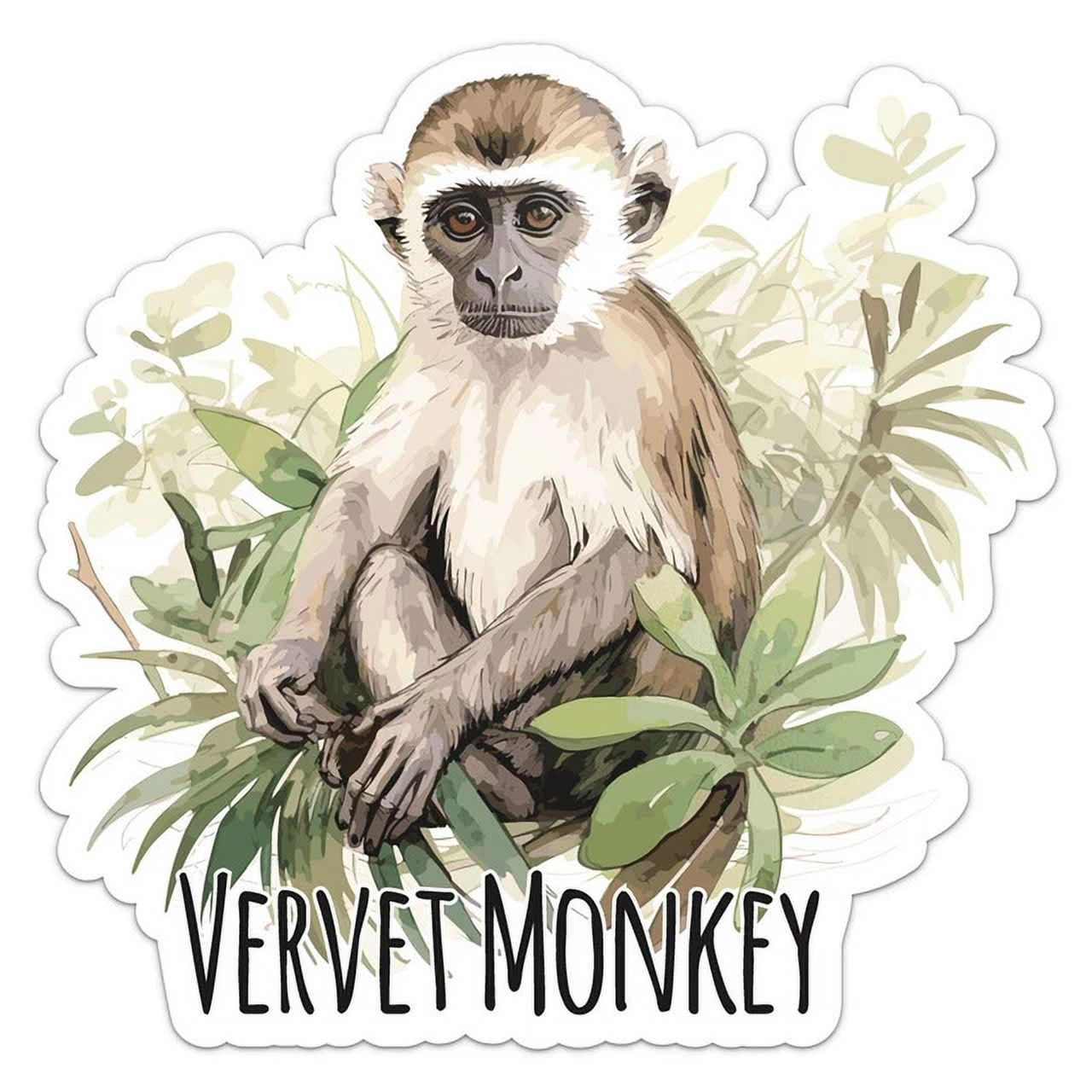 Watercolor Vervet Monkey Animal Sticker Phone Decal Water Bottle ...