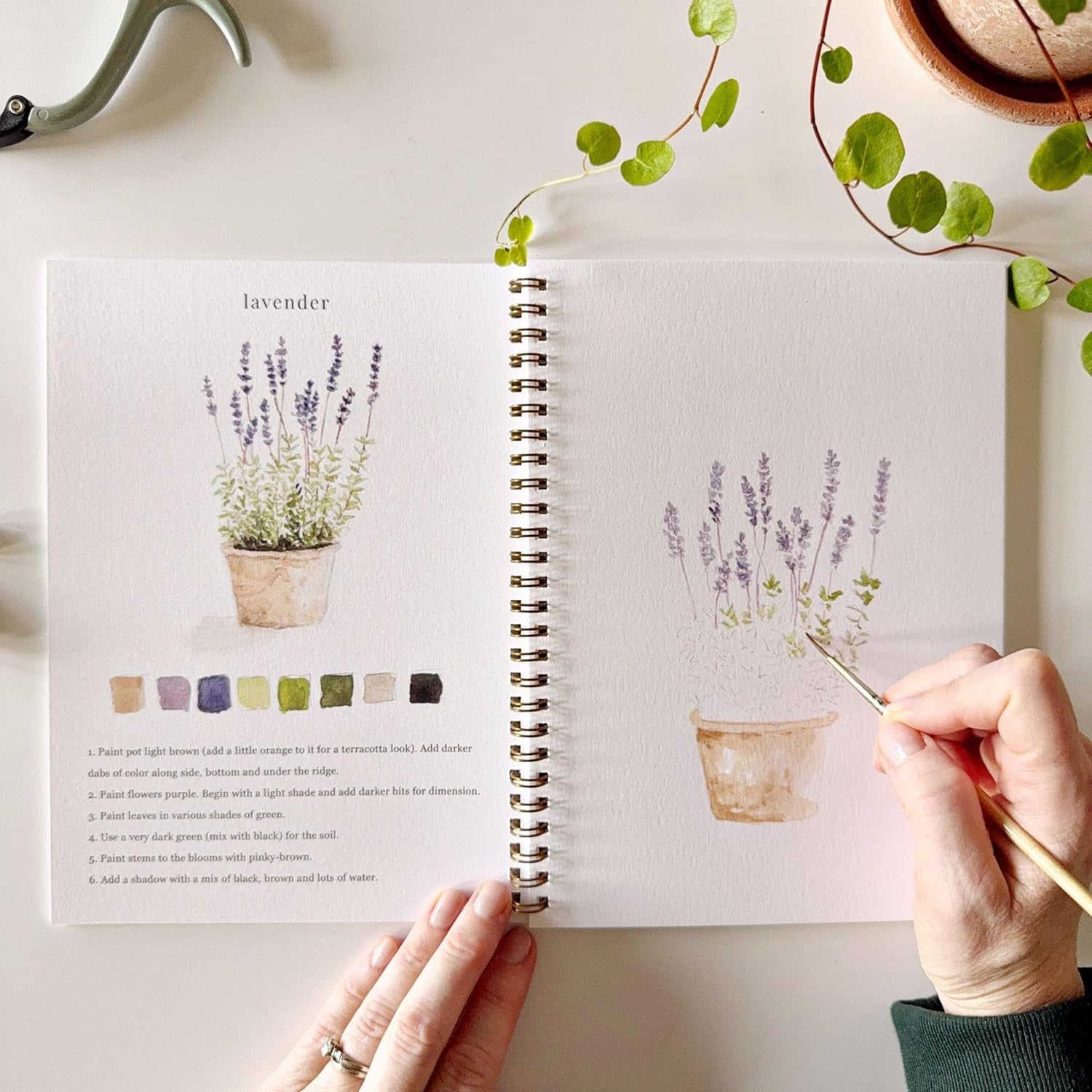 Watercolor Workbook with sketches， Beginner-Friendly Garden Watercolor ...