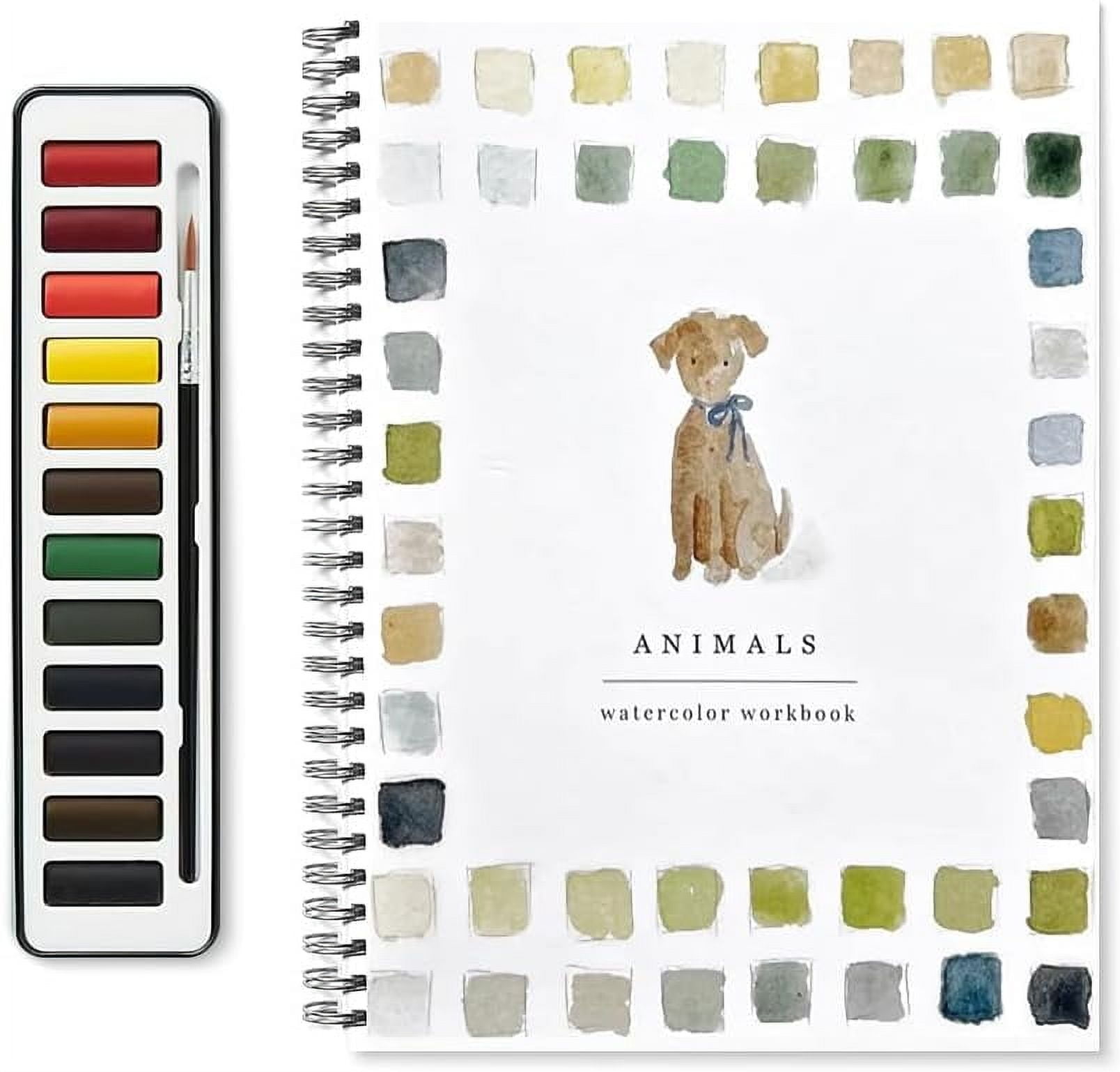 Watercolor Workbooks, Beginner-Friendly Birds Watercolor Workbooks, 12 ...