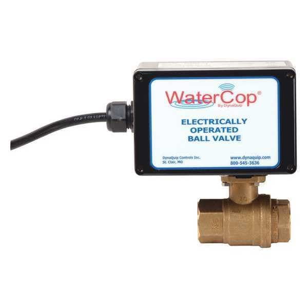 Watercop Ball Valve,Electronic ,3/4 In FNPT EHW24AJP01 - Walmart.com