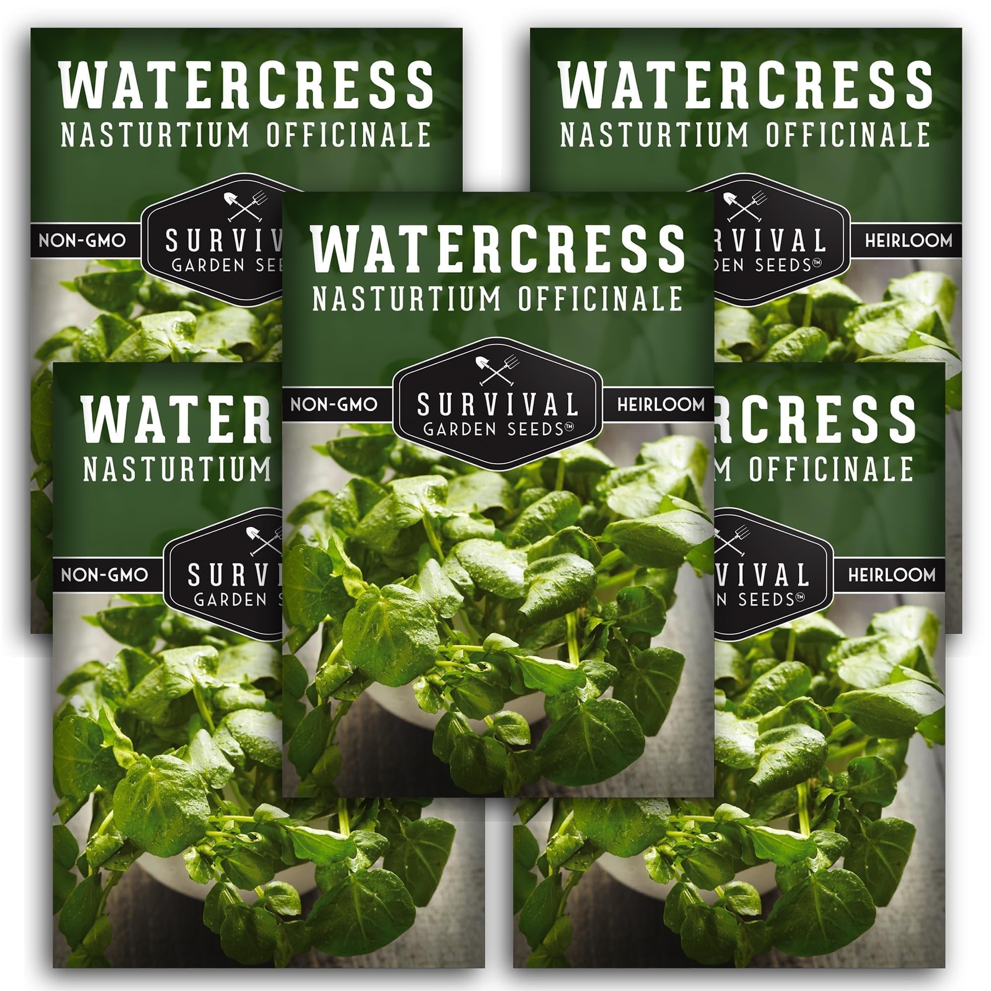 Watercress Seeds - 5 pack - Non-GMO Heirloom Full Sun Perennial ...