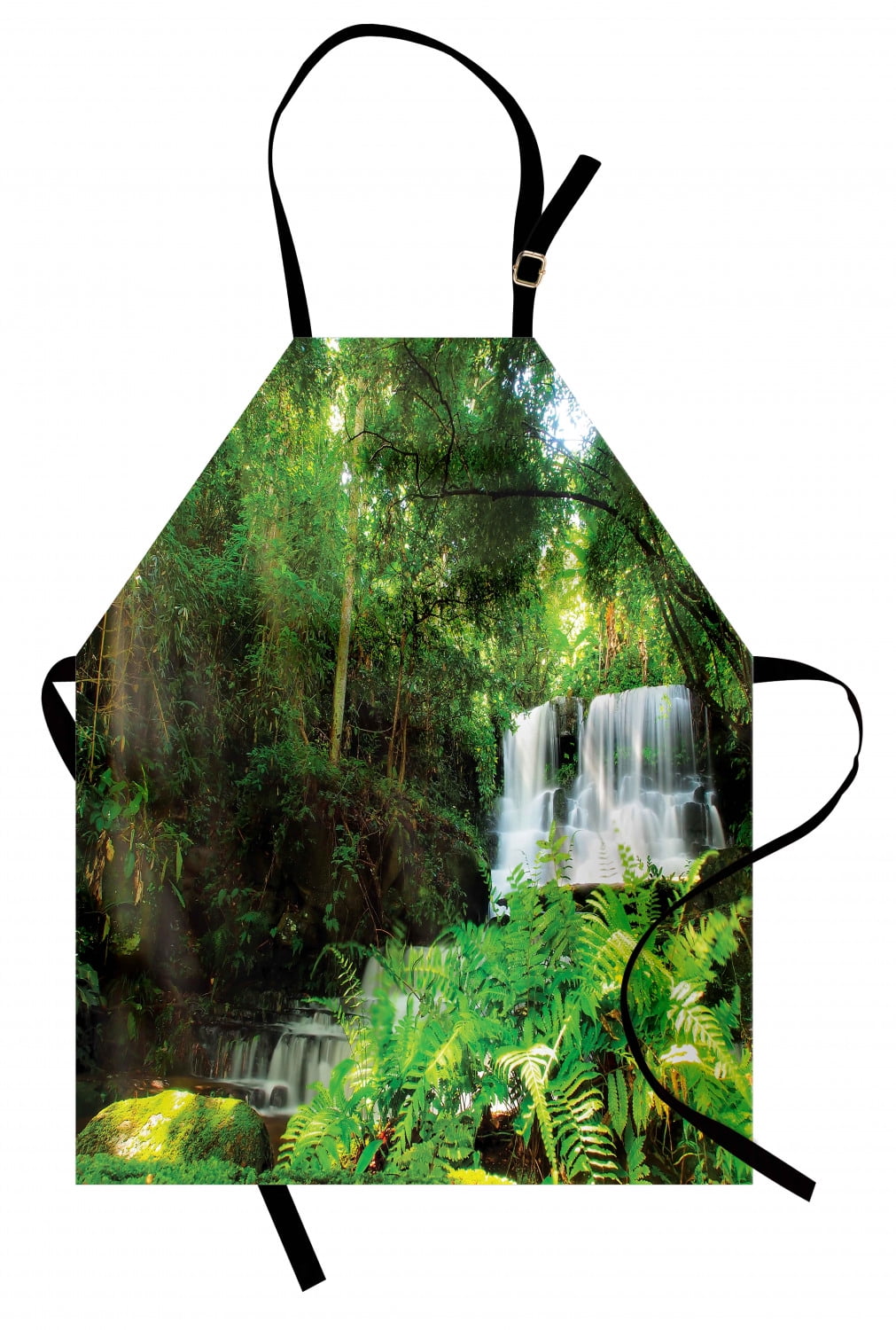 Waterfall Apron Spring Season Waterfall Hidden in Forest with Botanic ...