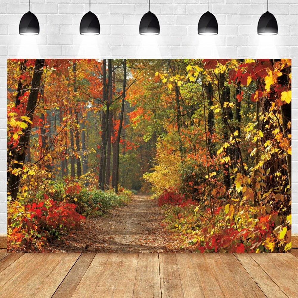 Waterfall Mountain Forest Fall Autumn Nature Backdrop Landscape Scenery ...