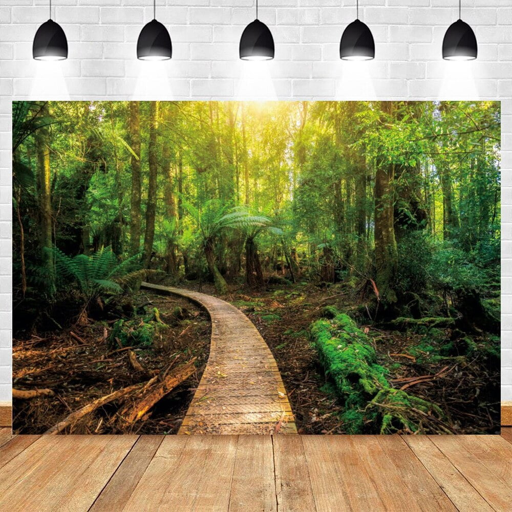 Waterfall Mountain Forest Fall Autumn Nature Backdrop Landscape Scenery ...