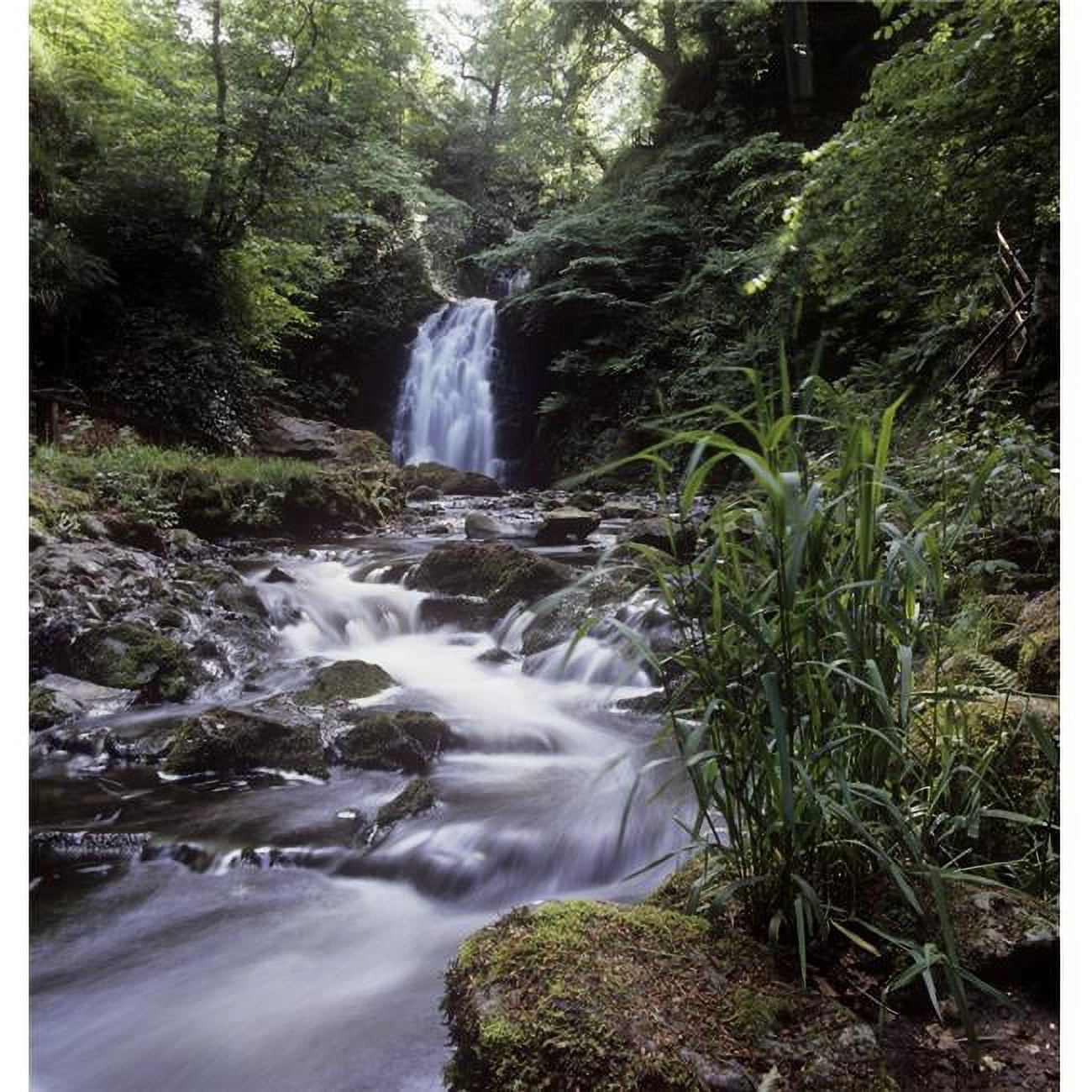 Waterfall in a Forest Glenoe Waterfall Glenoe County Antrim Northern ...