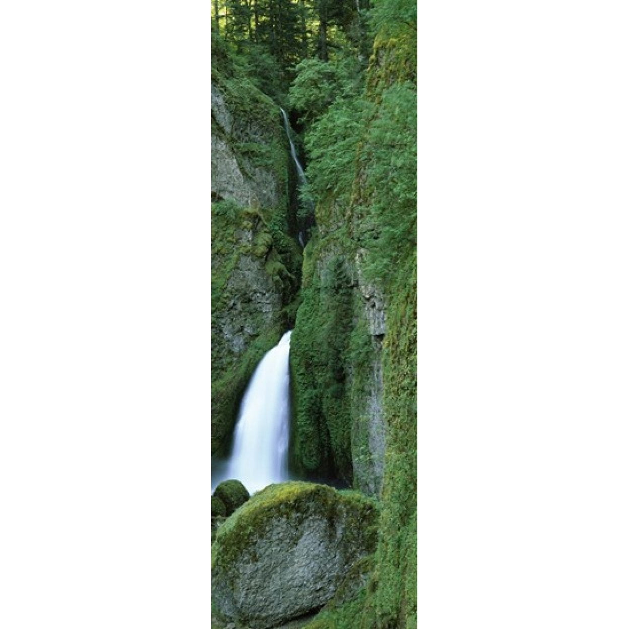 Waterfall in a forest, Columbia River Gorge, Oregon, USA Poster Print ...