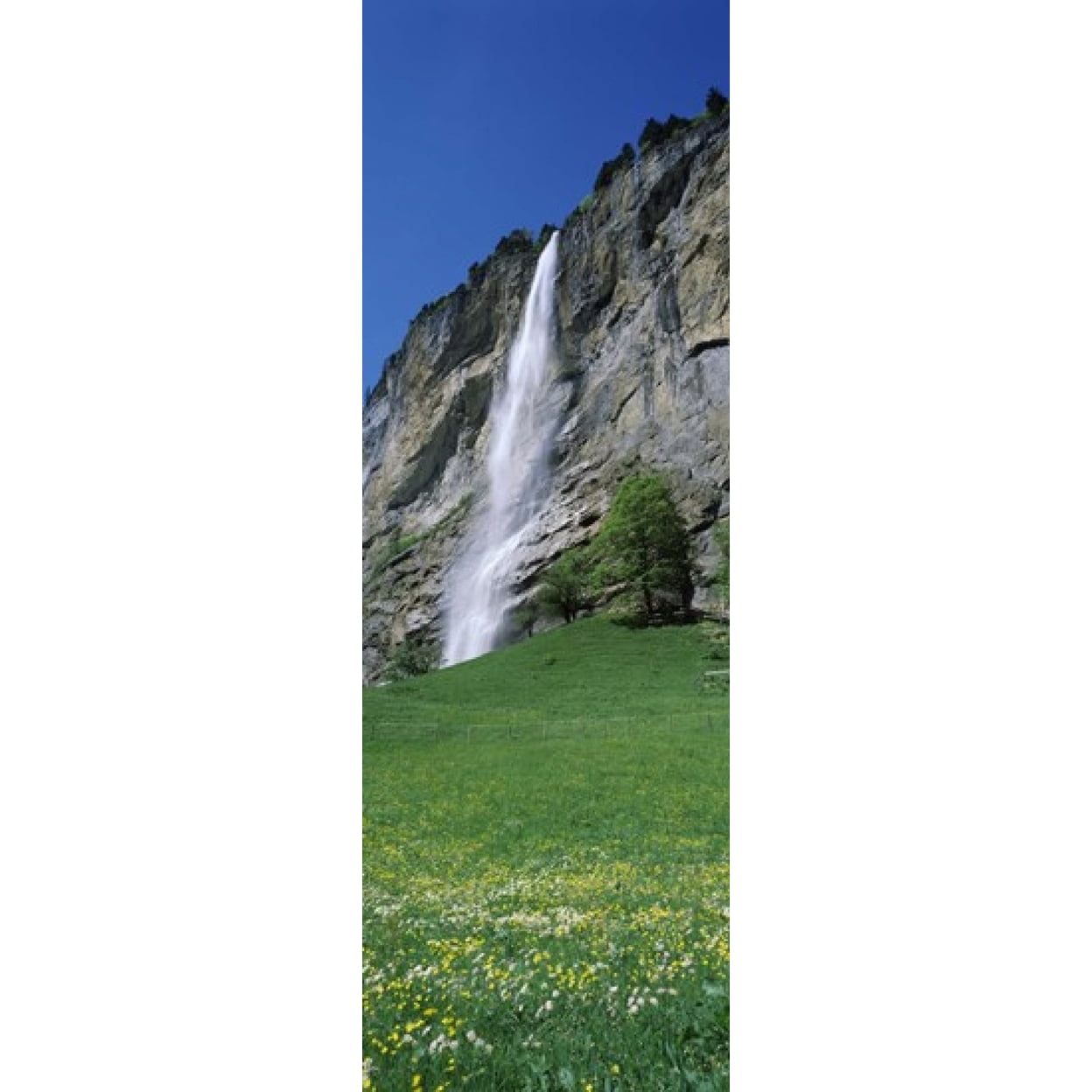 Waterfall in a forest Murrenbach Falls Lauterbrunnen Valley Bernese ...