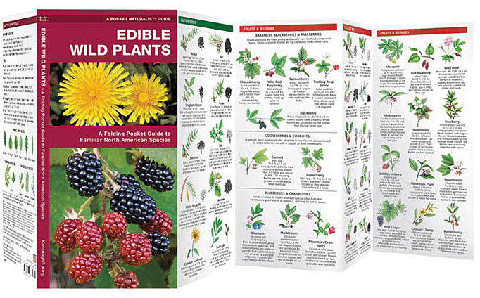 Waterford Press Cooking Edible Wild Plants Book James Kavanagh Cooking ...