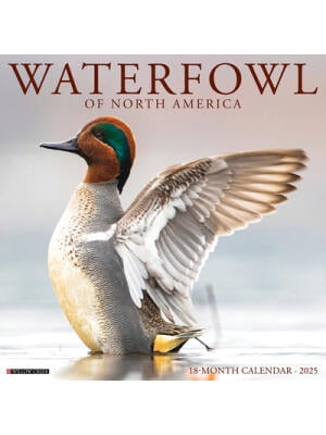 Waterfowl 2025 12 X 12 Wall Calendar - Walmart.com