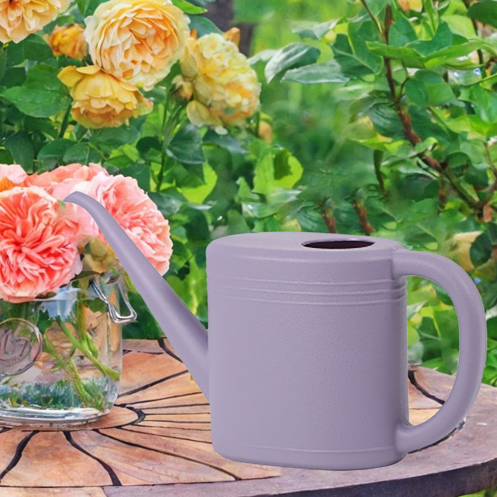 Watering Can, 1L Watering Can for Indoor Outdoor Plants, Water Can With ...