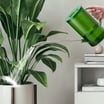 Plants Watering Can, Watering Can Gardening Water Bottle, Large ...