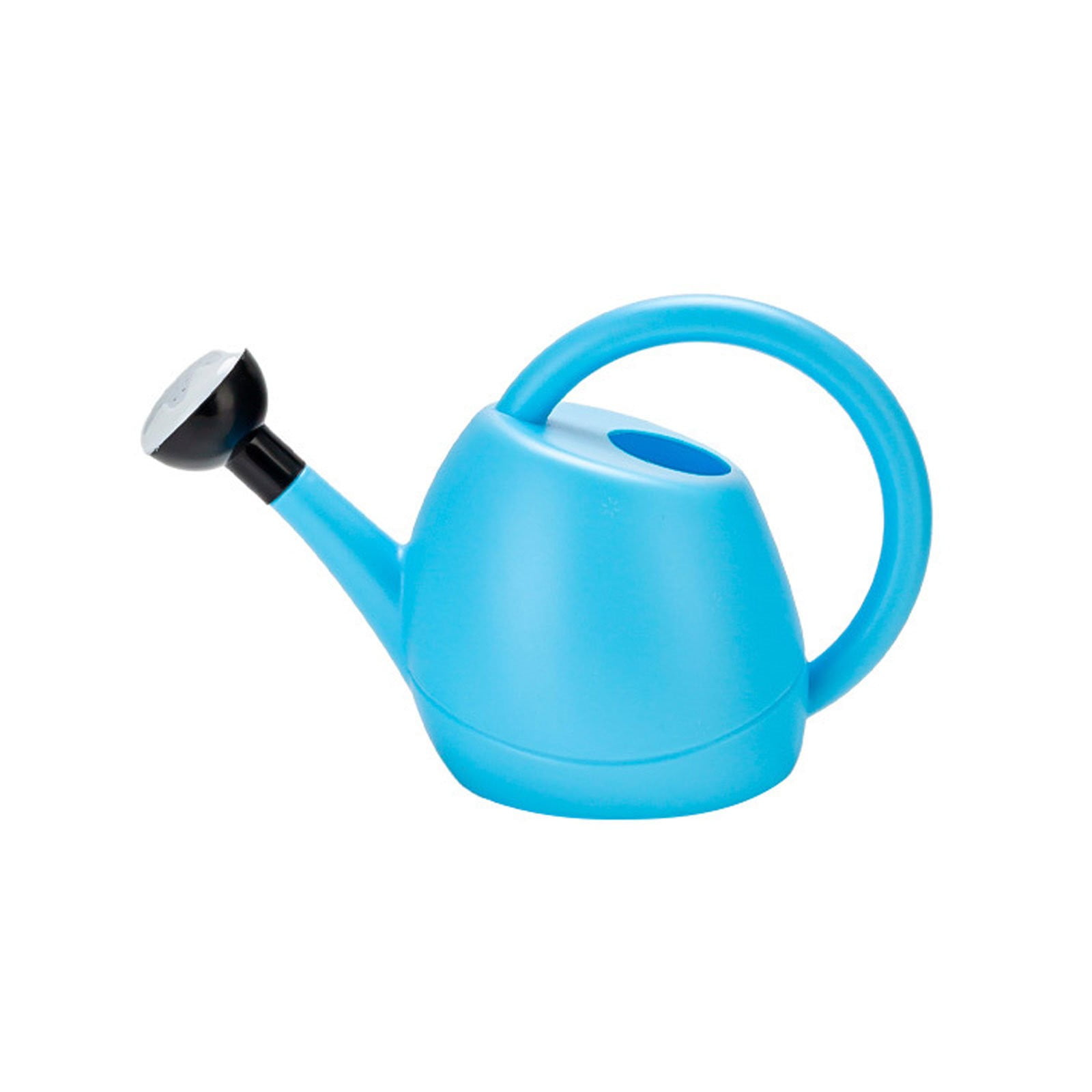 Watering Can for Indoor Plants, Blue Flower Watering Can, Large Mouth ...