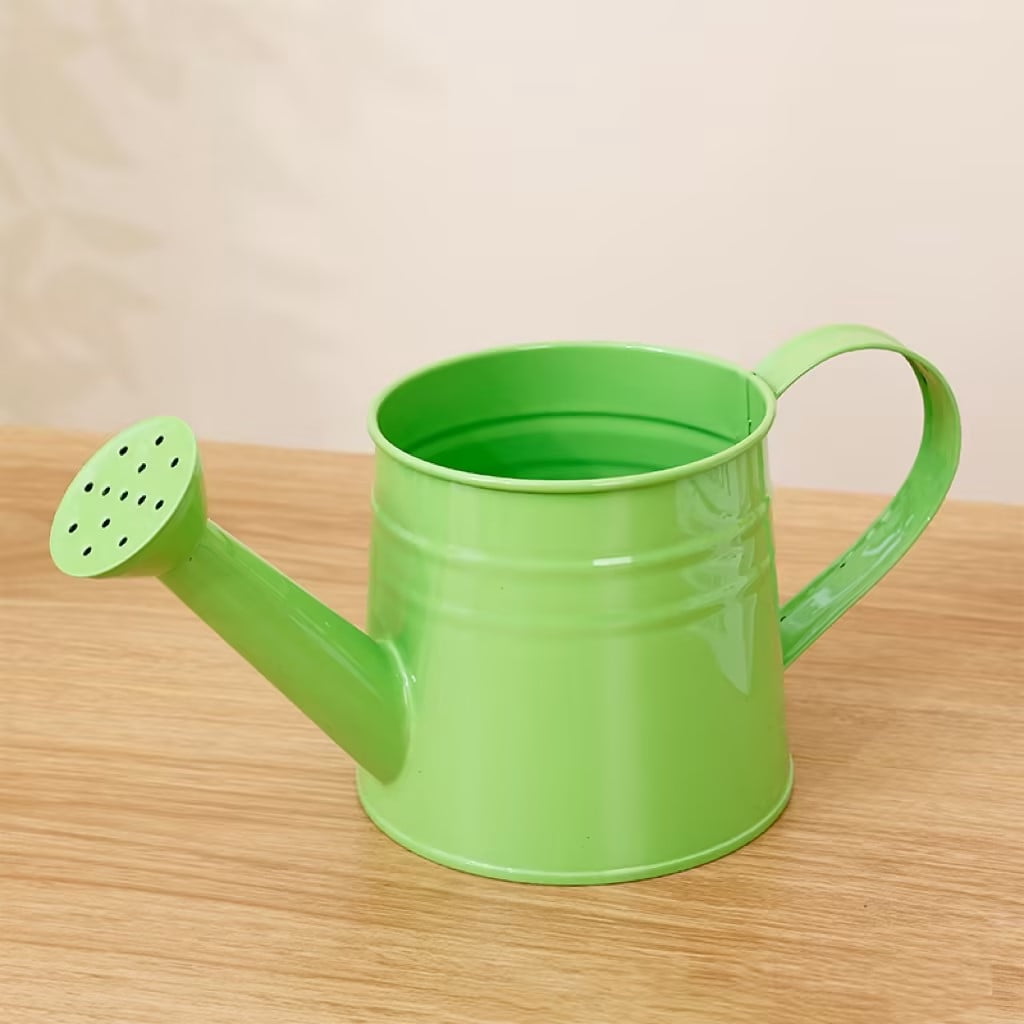 Watering Can Metal,1 Gallon Matte Galvanized Metal Watering Can,Vintage ...