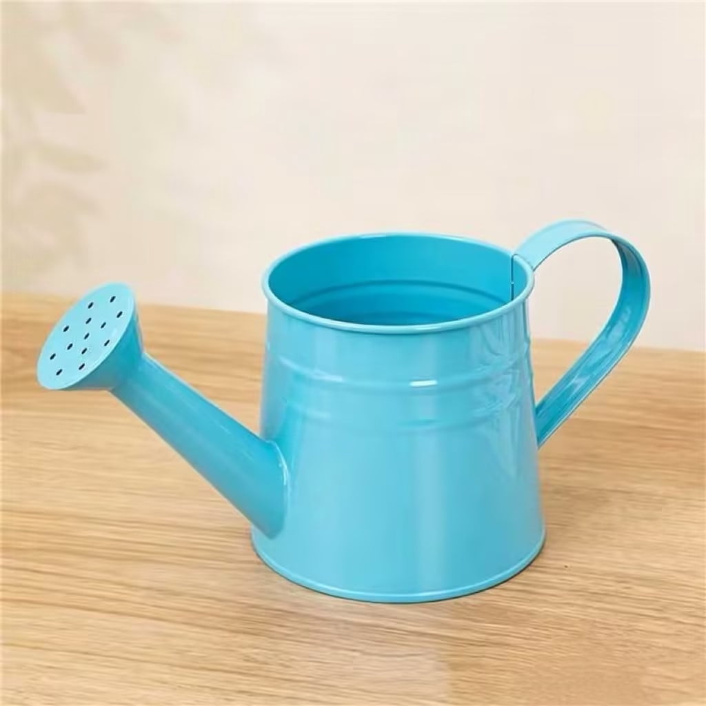 Watering Can Metal,1 Gallon Matte Galvanized Metal Watering Can,Vintage ...