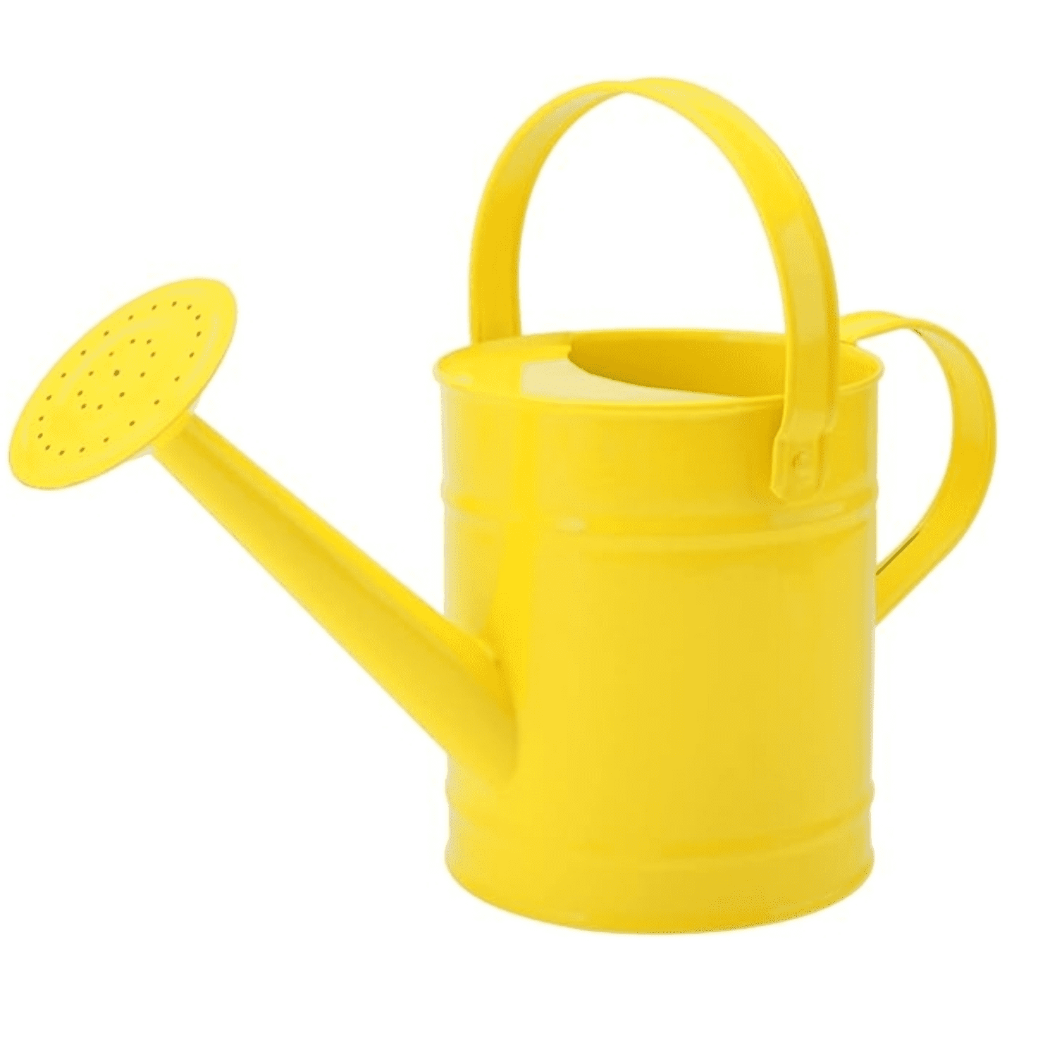 Watering Can, Metal Watering Can 1.5L/51oz, Watering Can for Outdoor ...