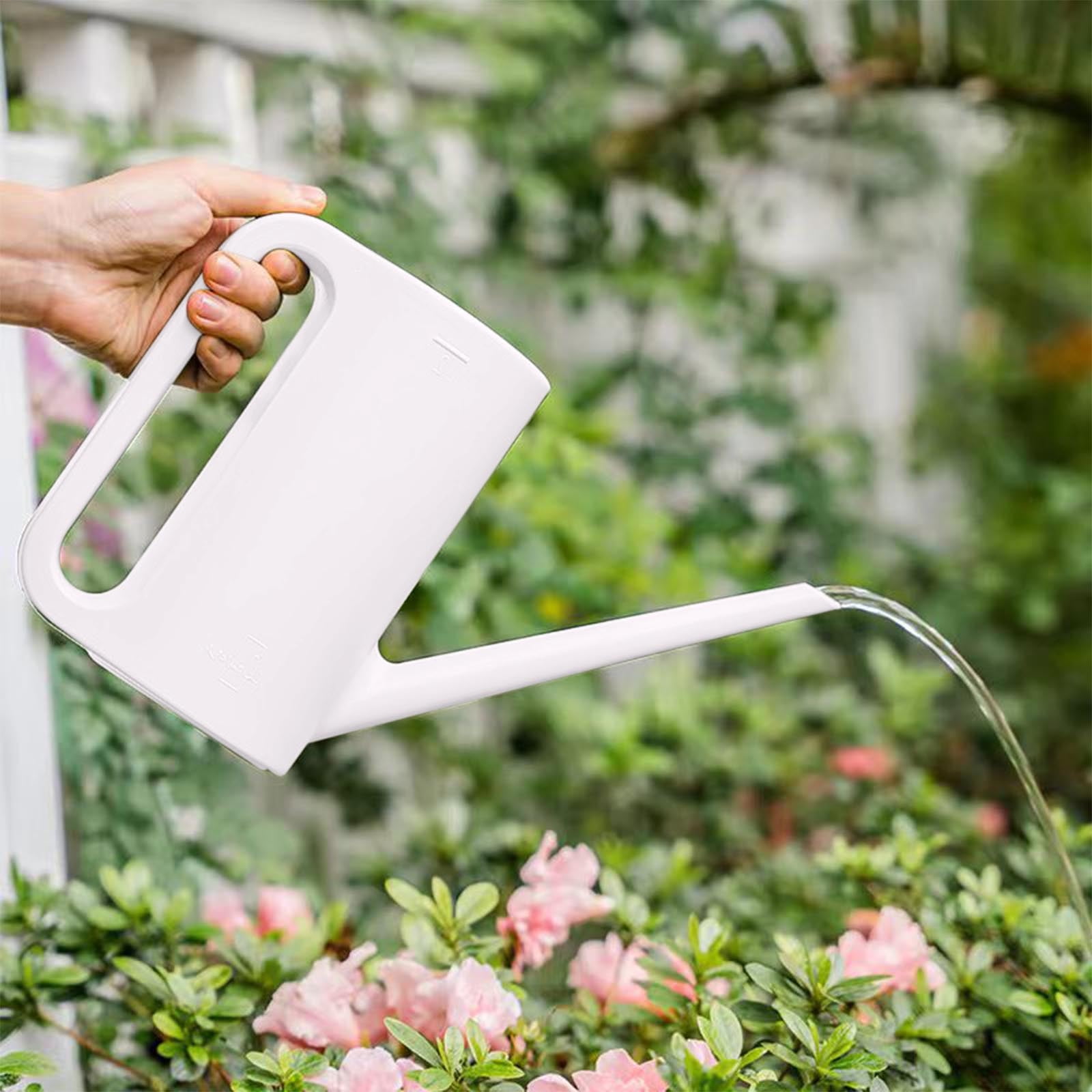 Watering Can Plant Watering Can Watering Can Indoor Plants Watering Can ...