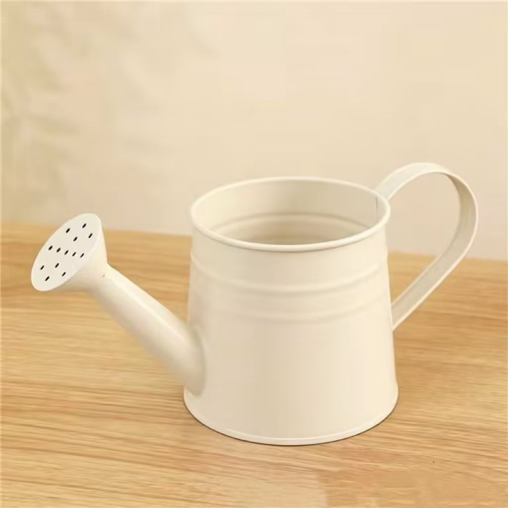Watering Can,Plant Watering Can,Watering Can Metal, 1 Gallon Matte ...