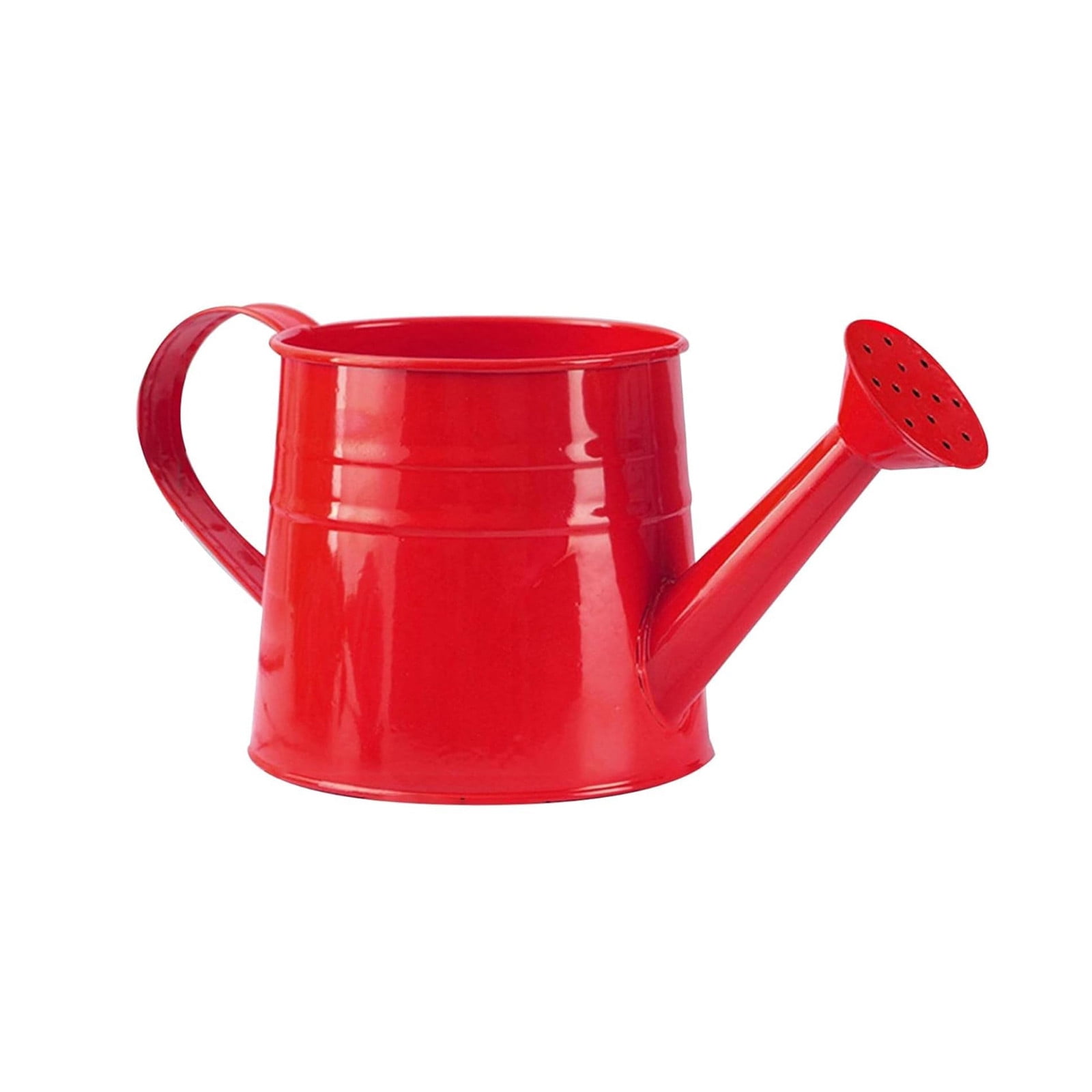 Watering Can Pot Flower Garden Water Indoor Bucket Galvanized Sprayer ...
