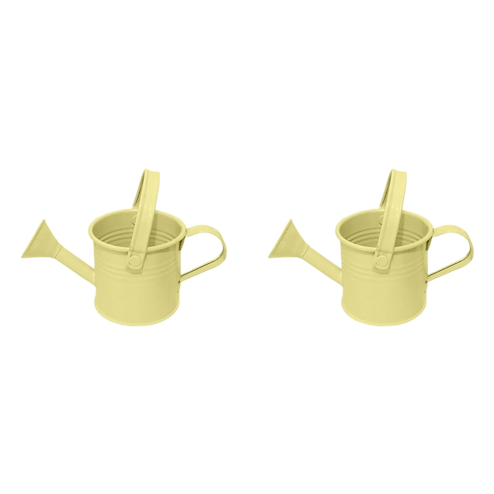 Watering Can Small Watering Can, 200ML Metal Watering Can for Outdoor ...