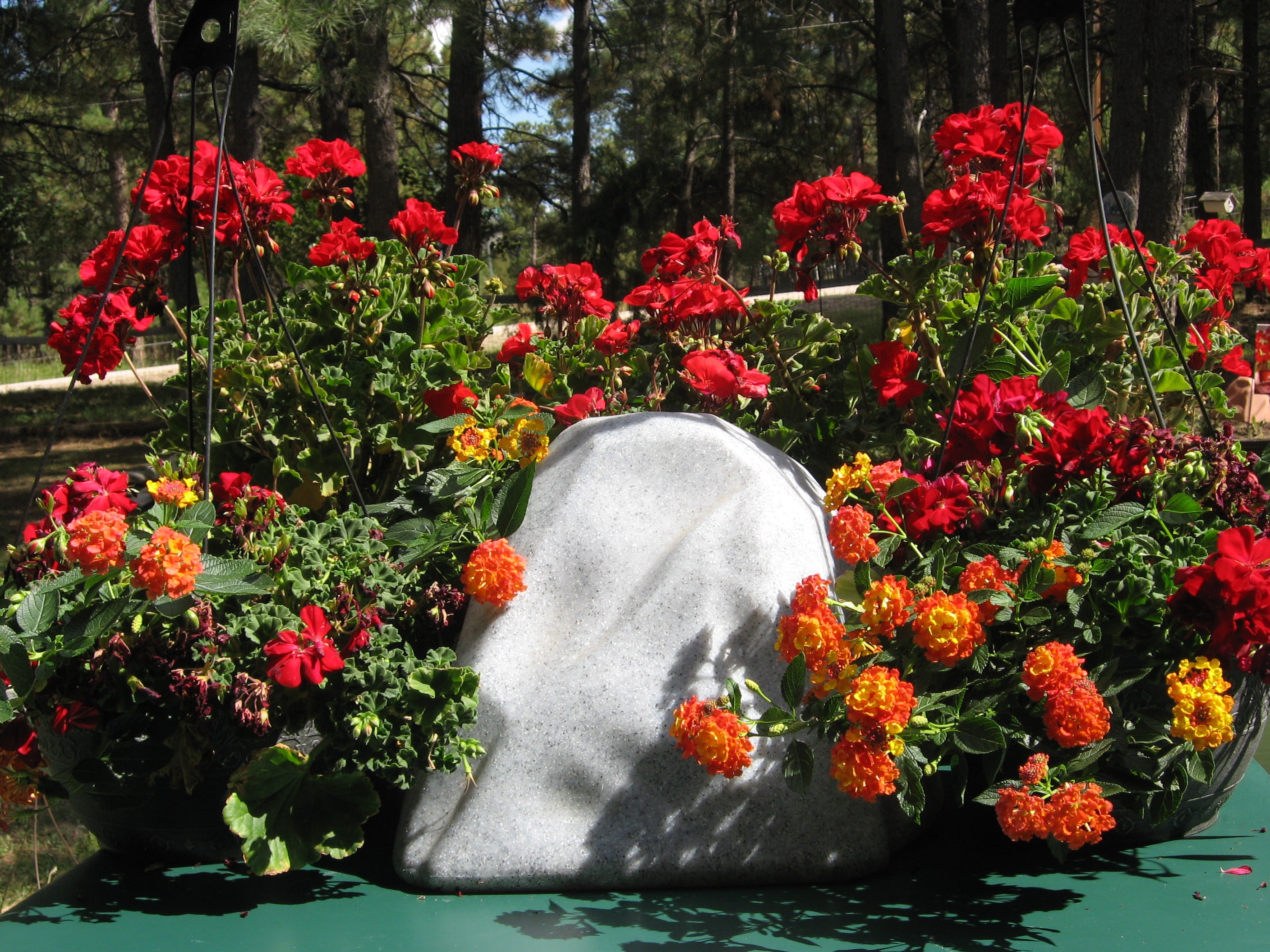 Watering Rocks Portable Automatic Irrigation Drip System White Granite ...