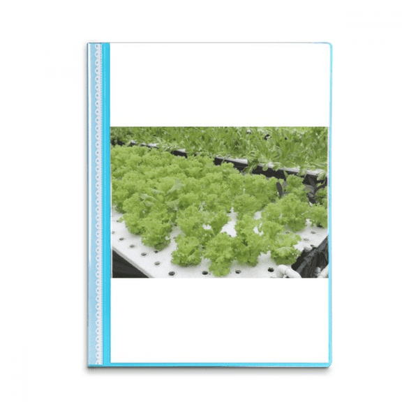 Complex Confidence Pisces Book Sheet Protectors Portfolio Binder Folder ...