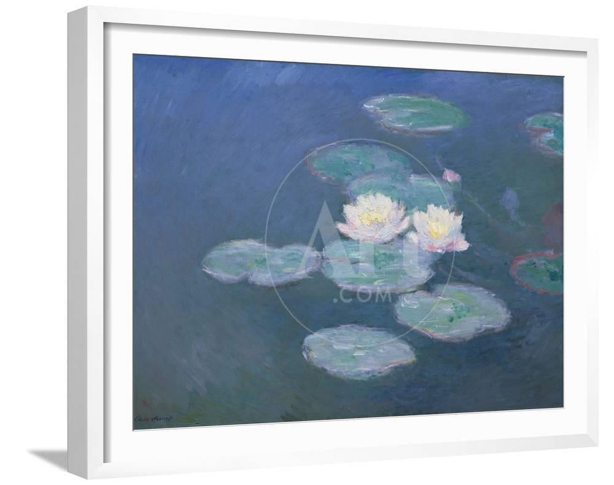 Waterlilies, Evening, Botanical Framed Art Print UnFramed Wall Art by ...