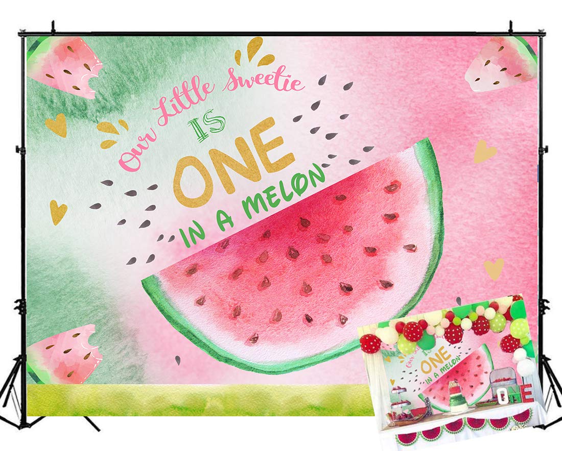 Watermelon Backdrop Baby Shower Backdrops Summer Photography Background ...