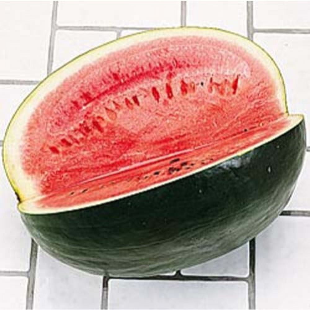 Watermelon Black Diamond BULK 400 Seeds Great Heirloom Garden Vegetable ...