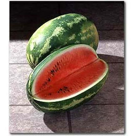 Watermelon Cal Sweet Great Heirloom Garden Vegetable 35 Seeds - Walmart.com