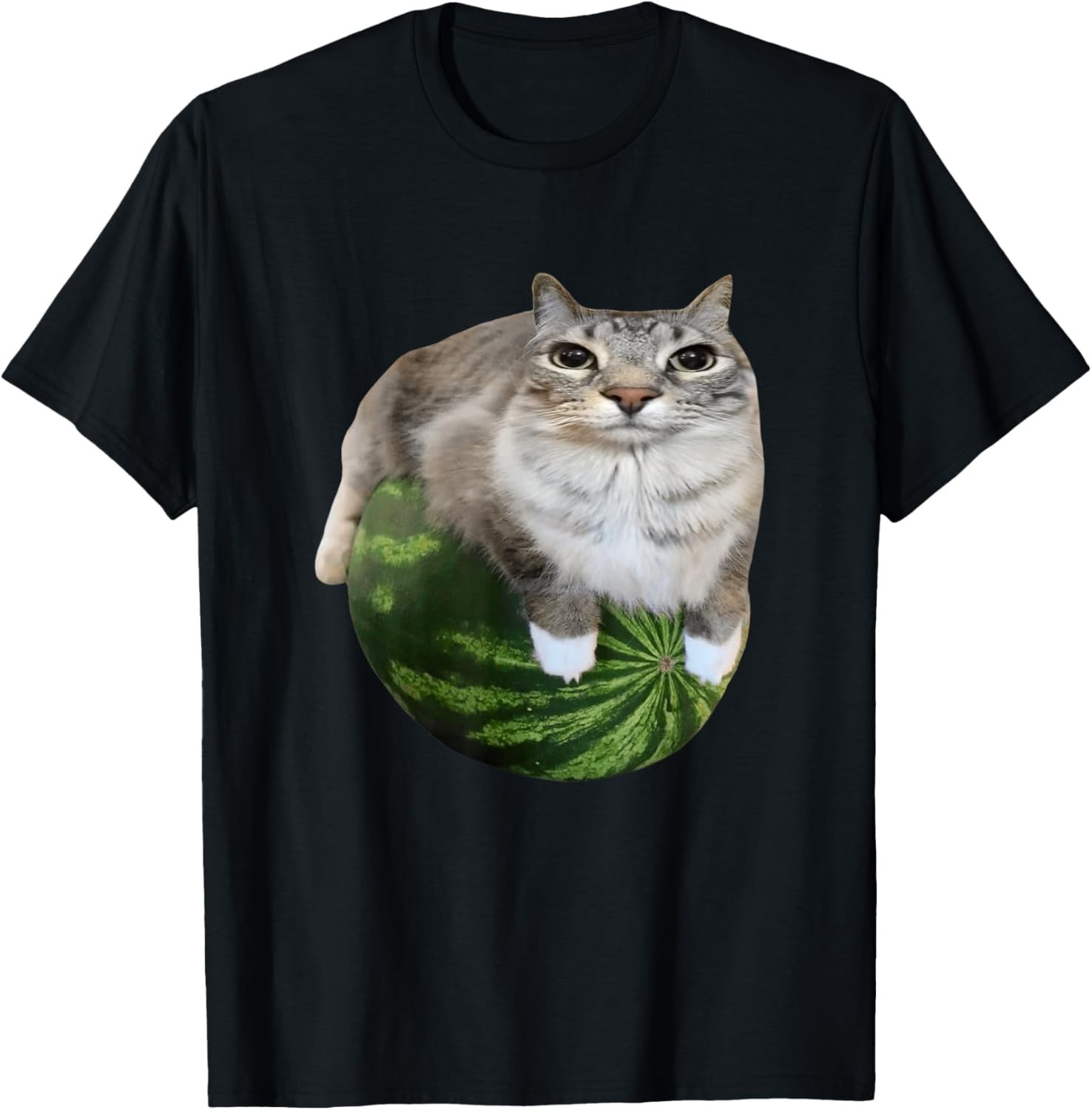 Watermelon Cat Silly Cat Meme T-Shirt Hoodie - Walmart.com
