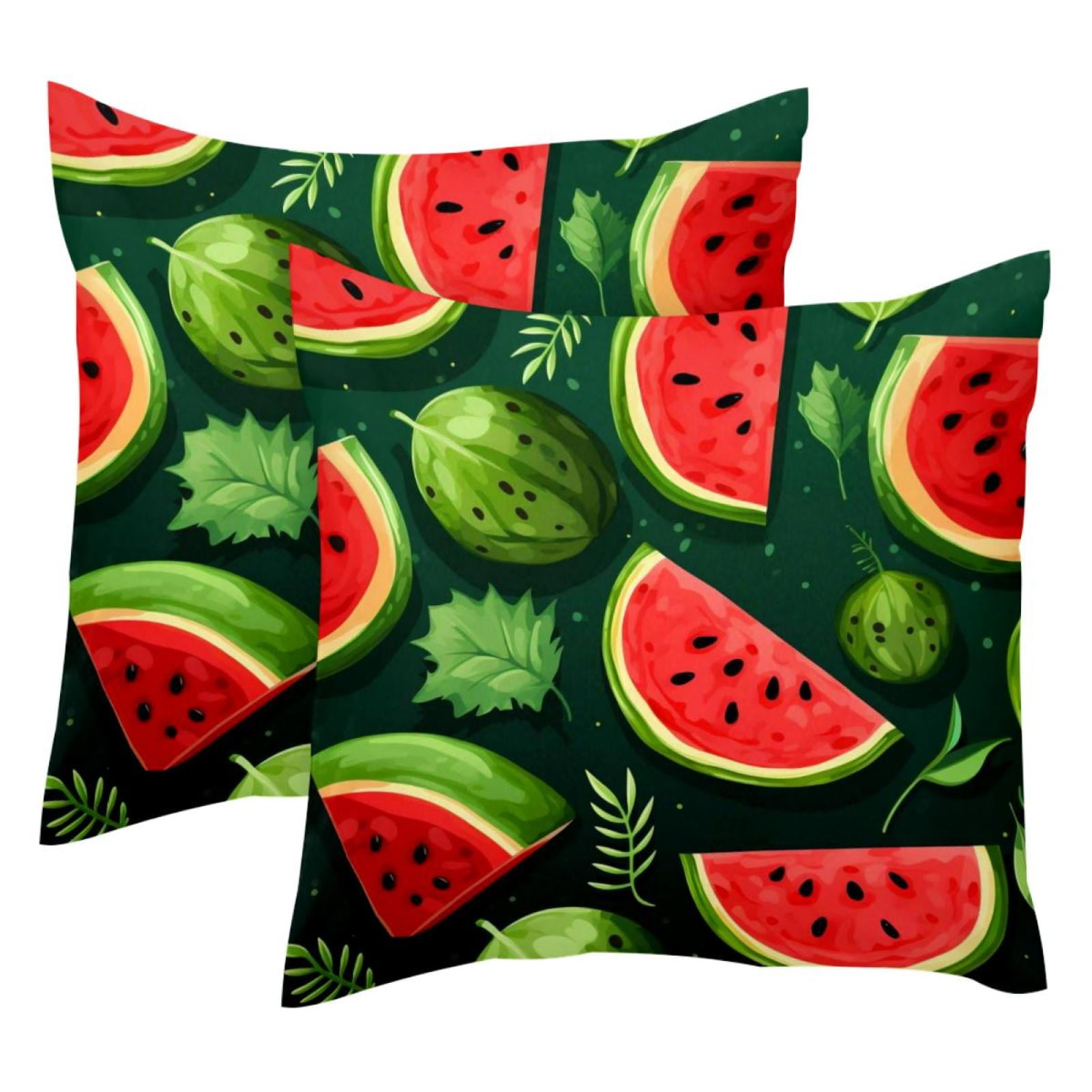 Watermelon Luxurious Velvet Throw Pillow Inserts 2PCS Chair Pillow ...