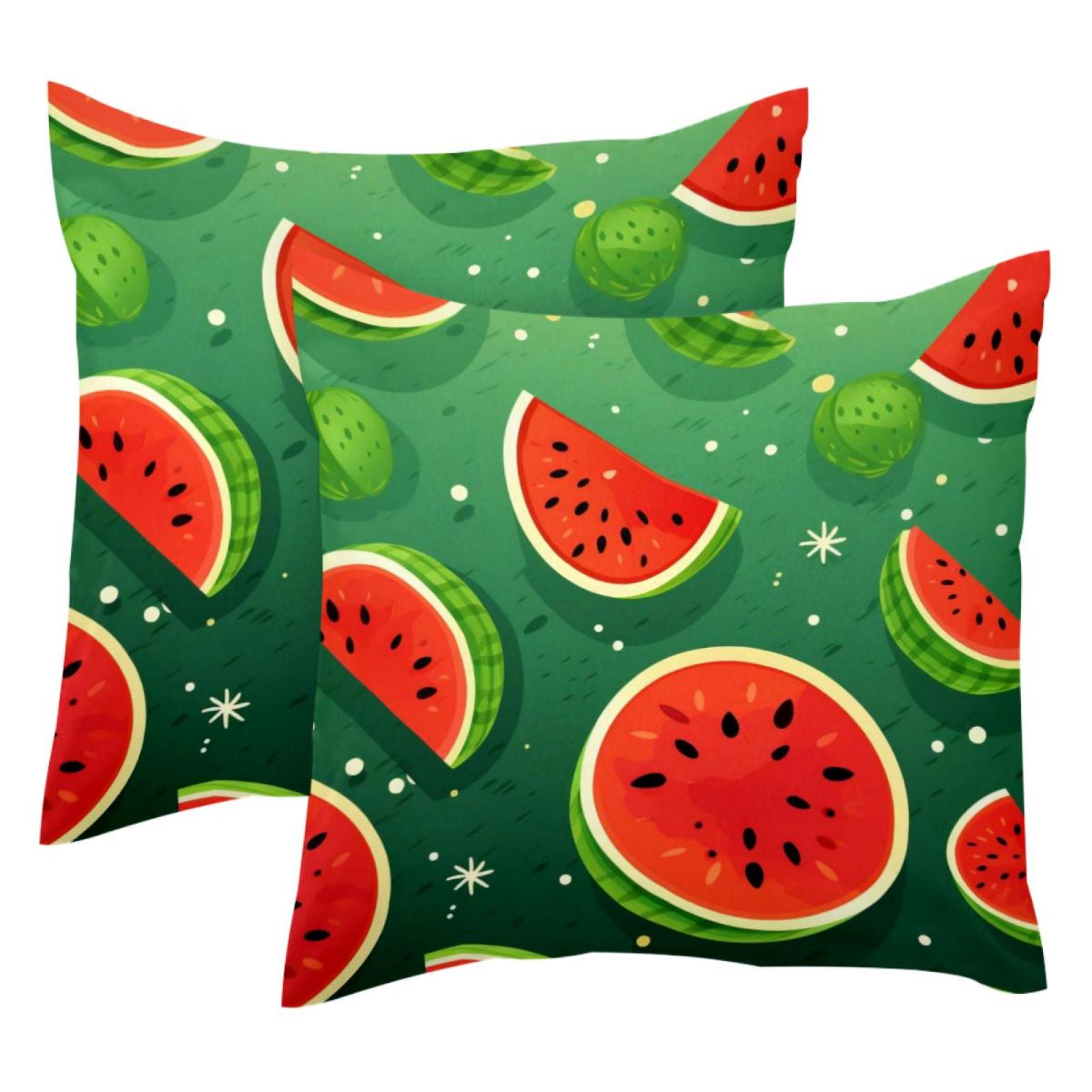 Watermelon Luxurious Velvet Throw Pillow Inserts 2PCS Chair Pillow ...