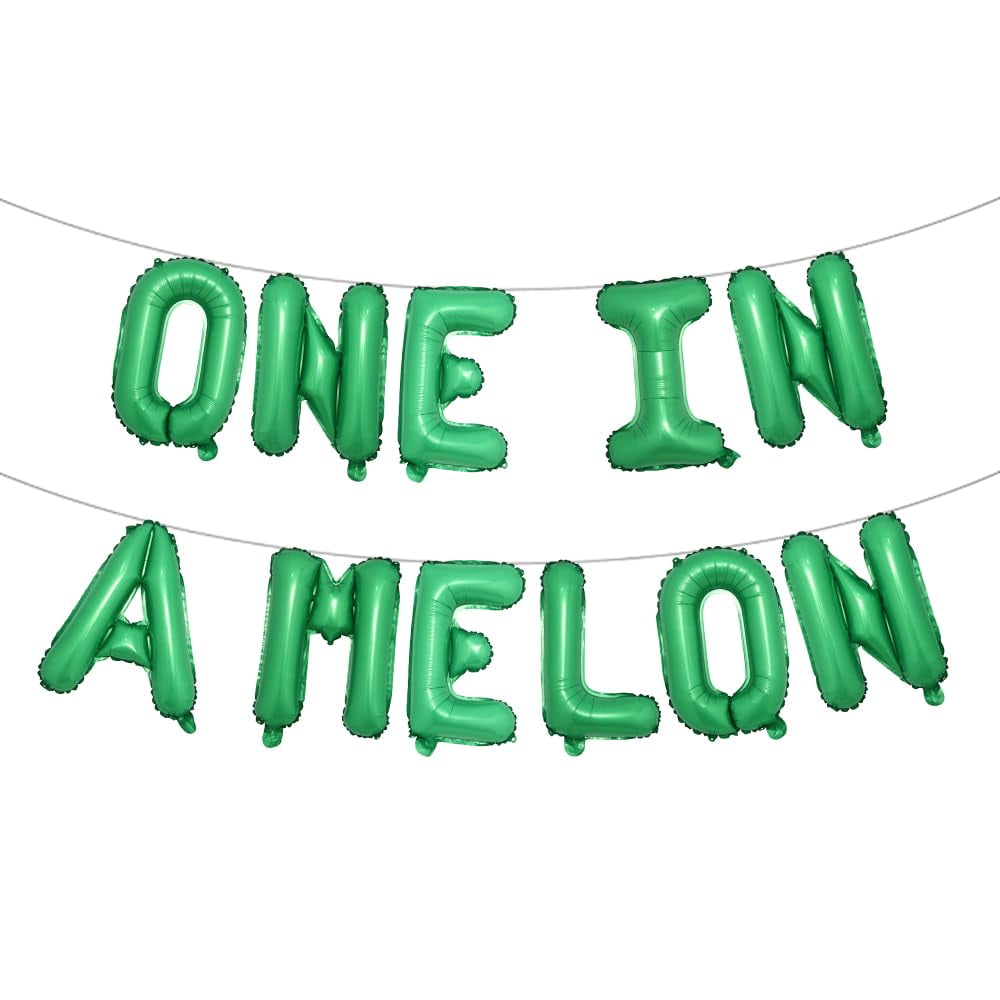 Watermelon Party Decorations for First Birthday, One H2FSDin a Melon ...