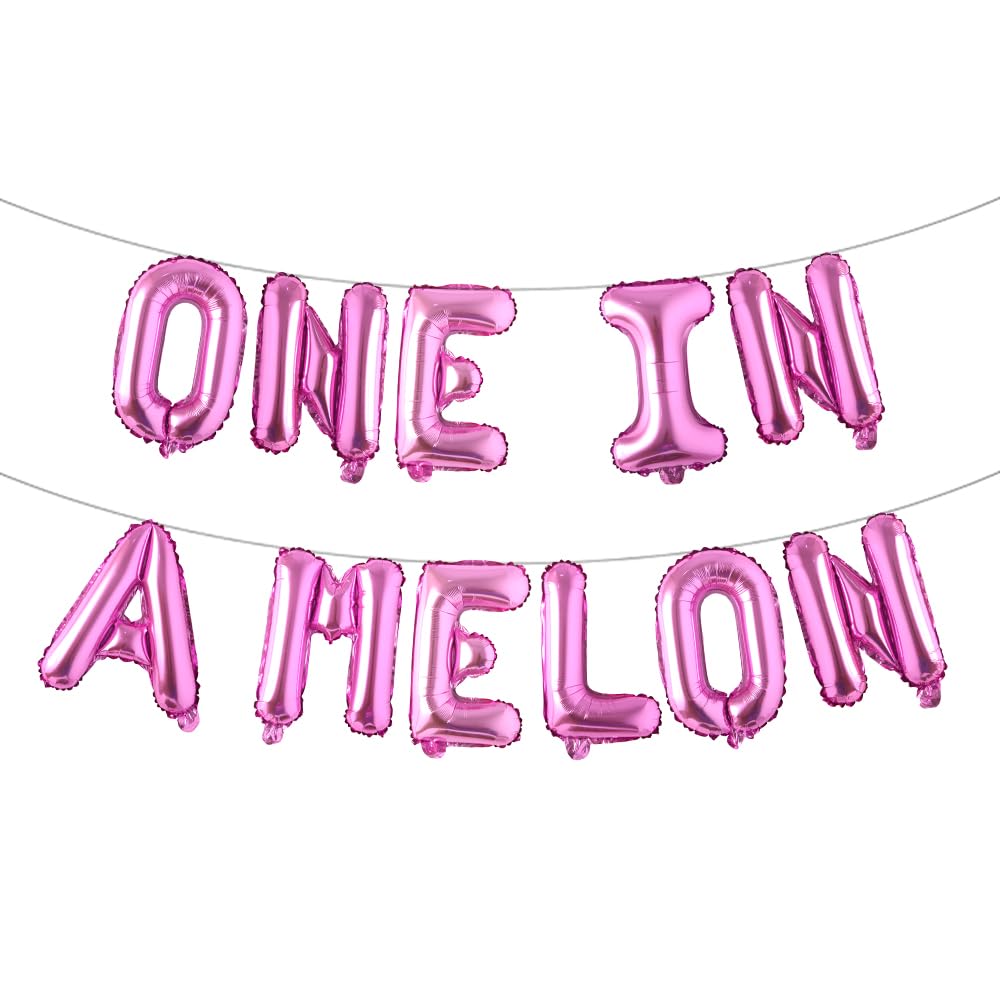 Watermelon Party Decorations for KEF16 First Birthday, One in a Melon ...