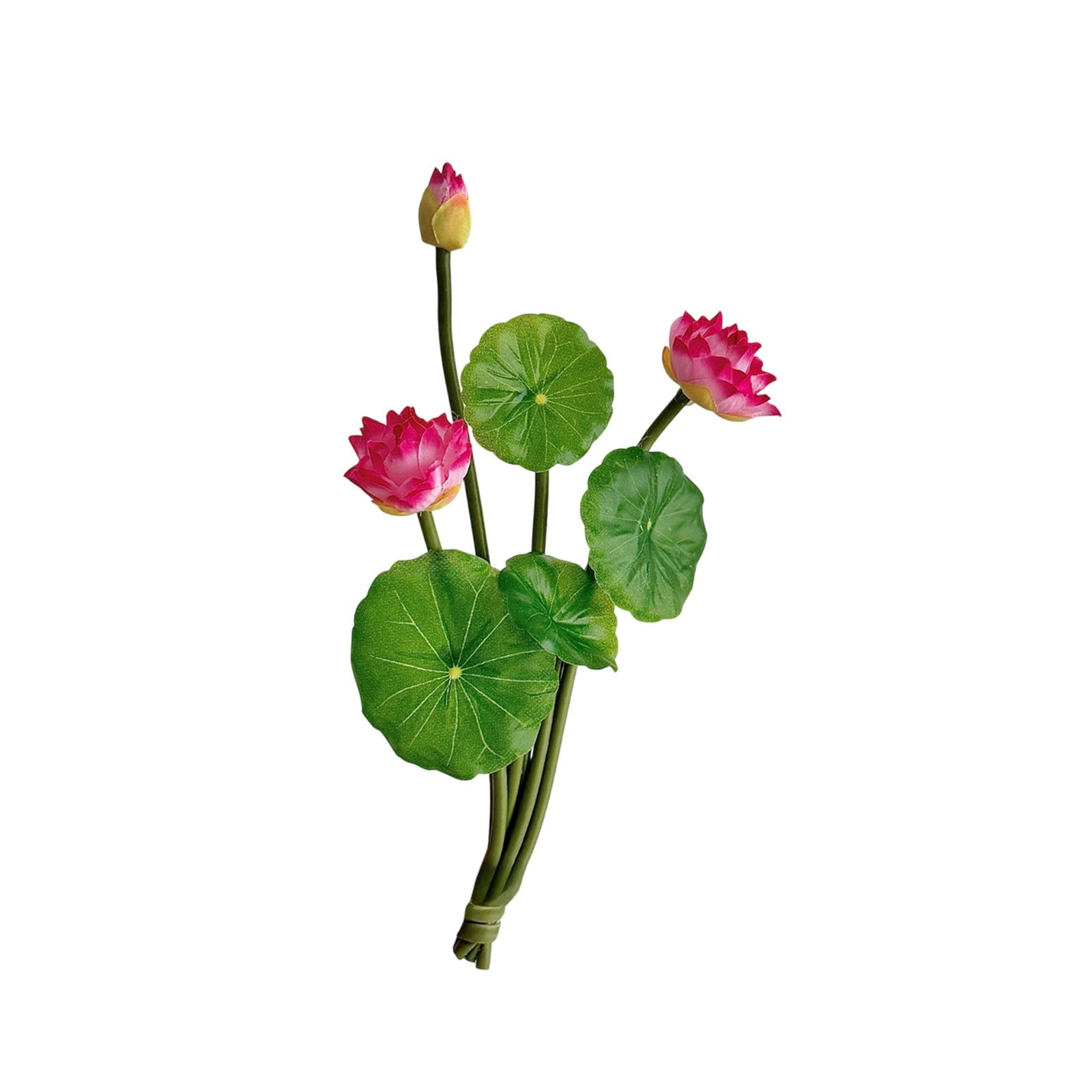 Watermelon Red Watermelon Red Artificial Lotus Flower Arrangement Water ...