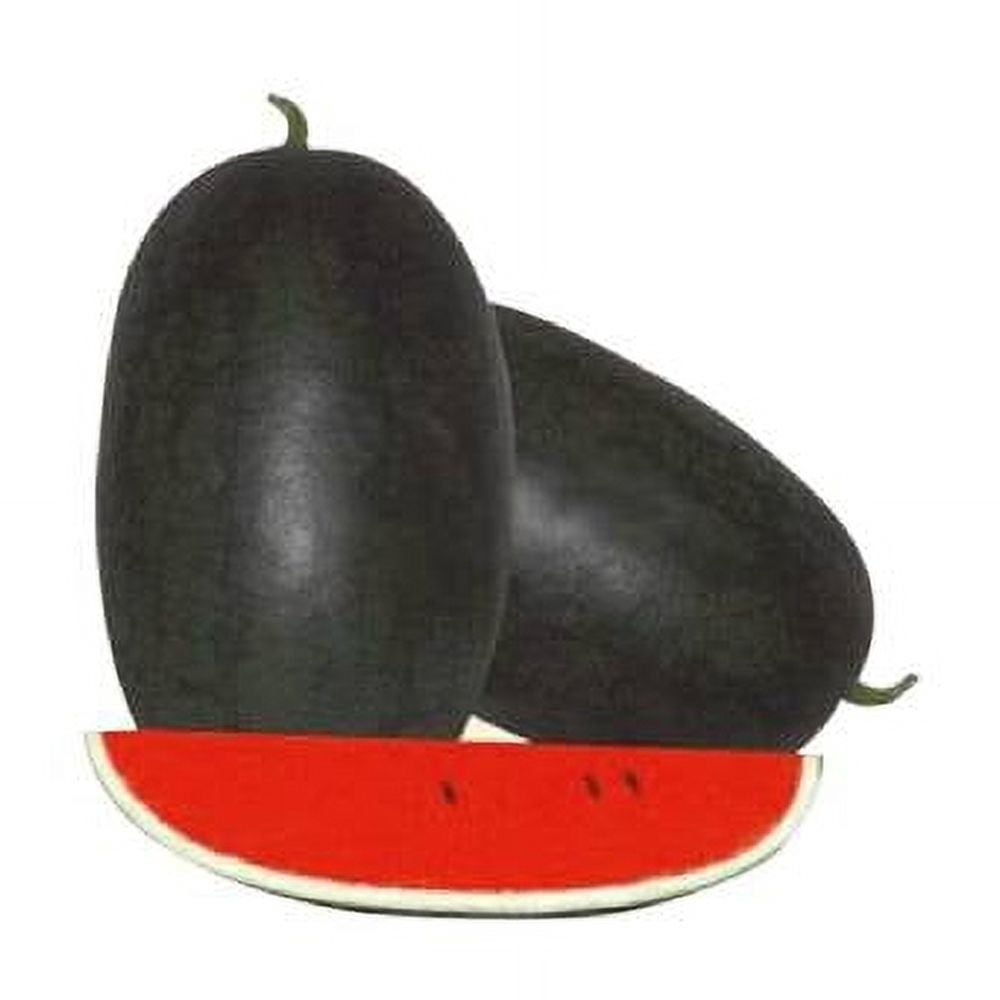 Watermelon Seeds – Black Boy for Planting - 10g - Walmart.com