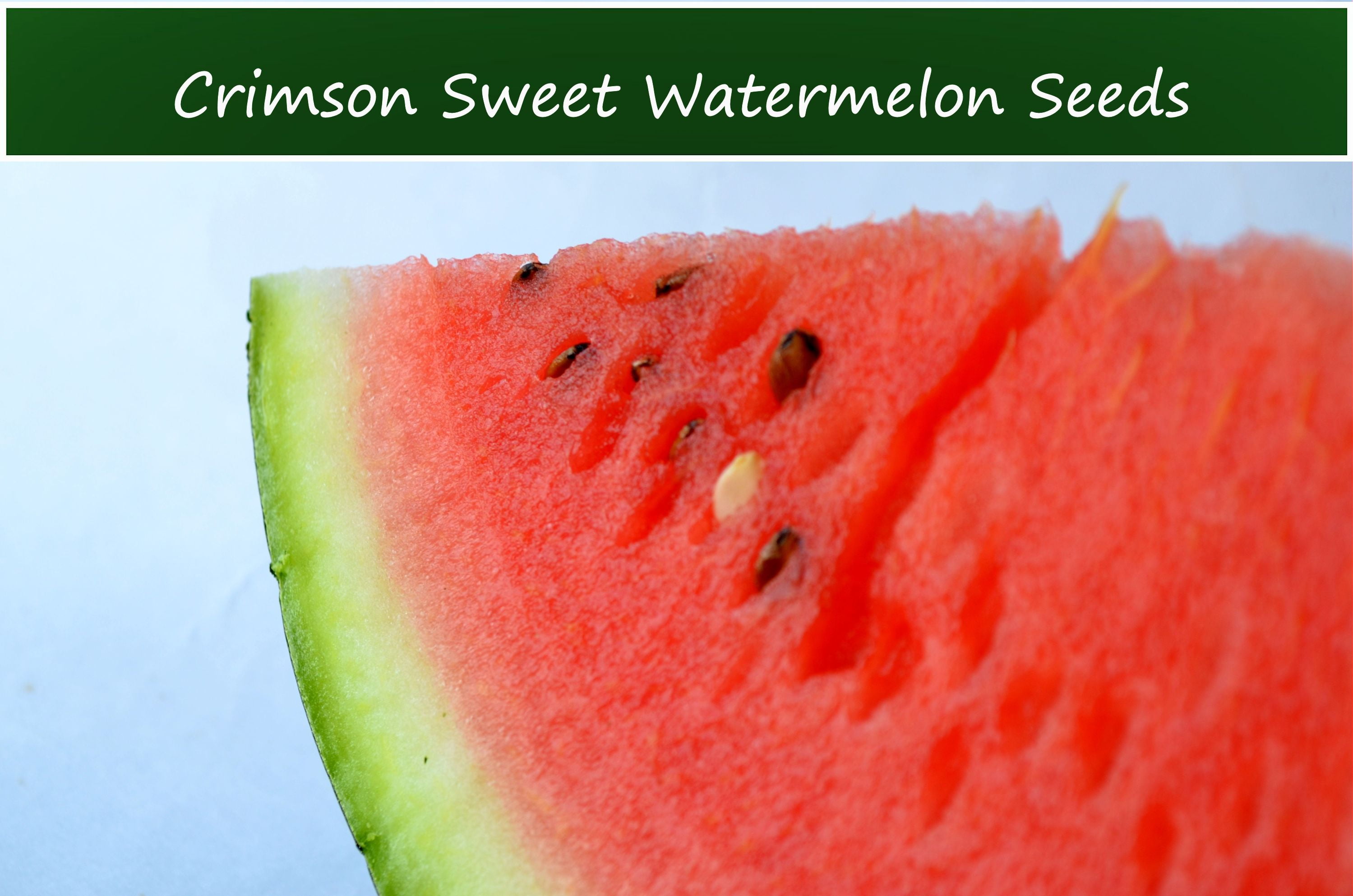 Watermelon Seeds -Crimson Sweet Watermelon- 20 seeds Deep Crimson Melon ...