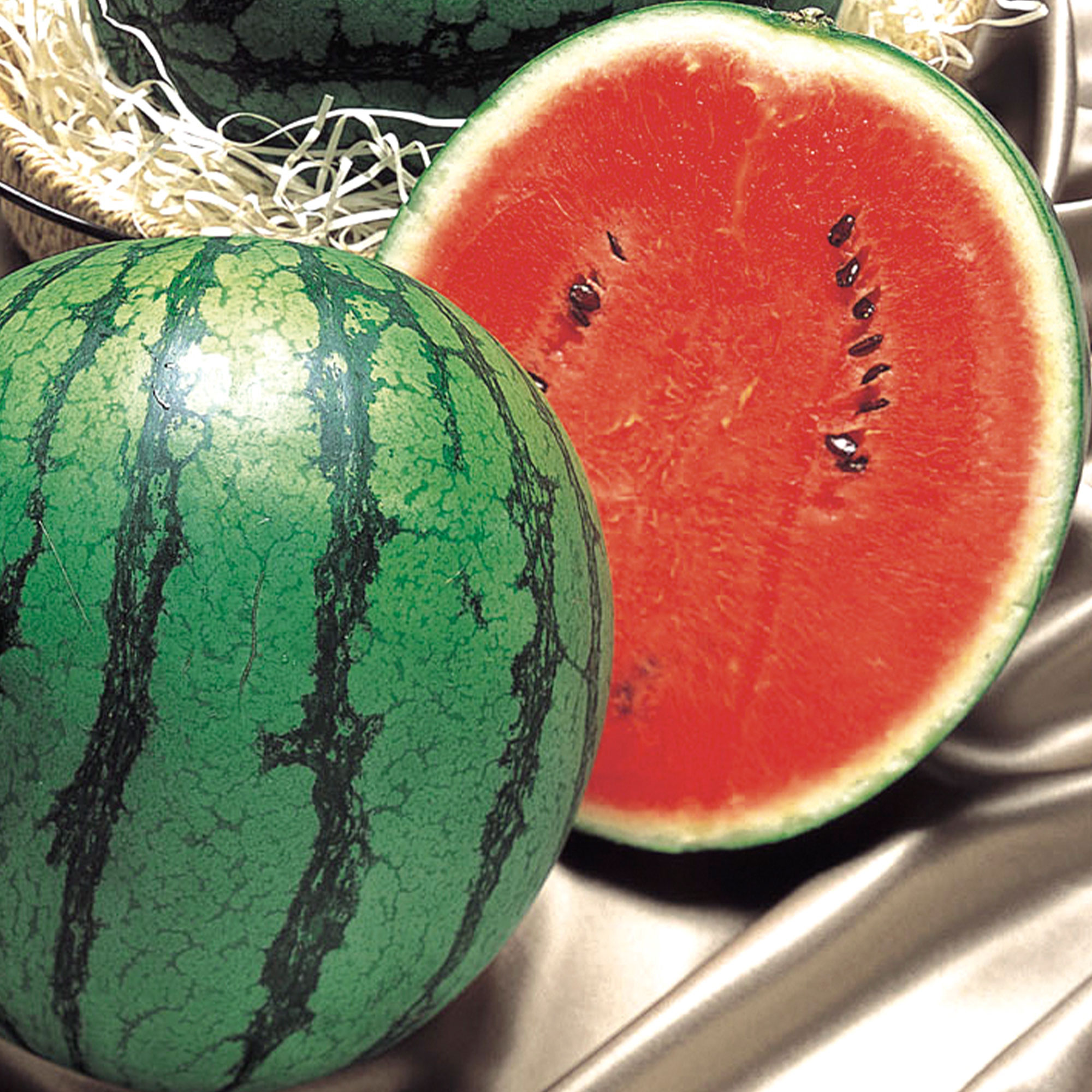 Watermelon Garden Seeds - Shiny Boy Hybrid (Treated) - 100 Seeds - Non ...