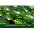 Watermelon Seeds- Jubilee Watermelon- 20 Heirloom Seeds - Walmart.com