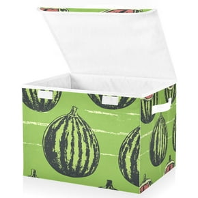 Watermelon Storage Container