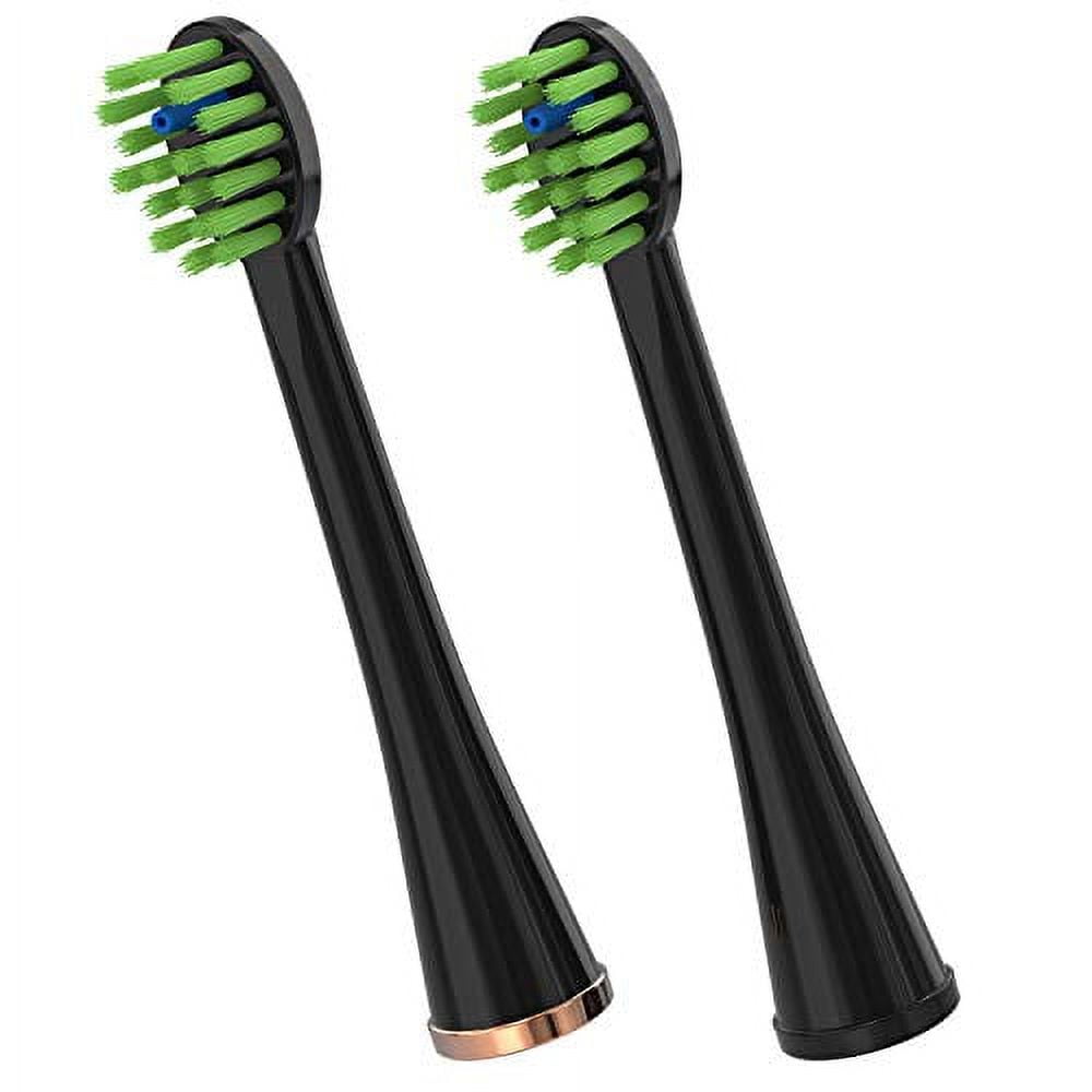 Waterpik Replacement Brush Heads, 2 Count Black: Sonic-Fusion with ...