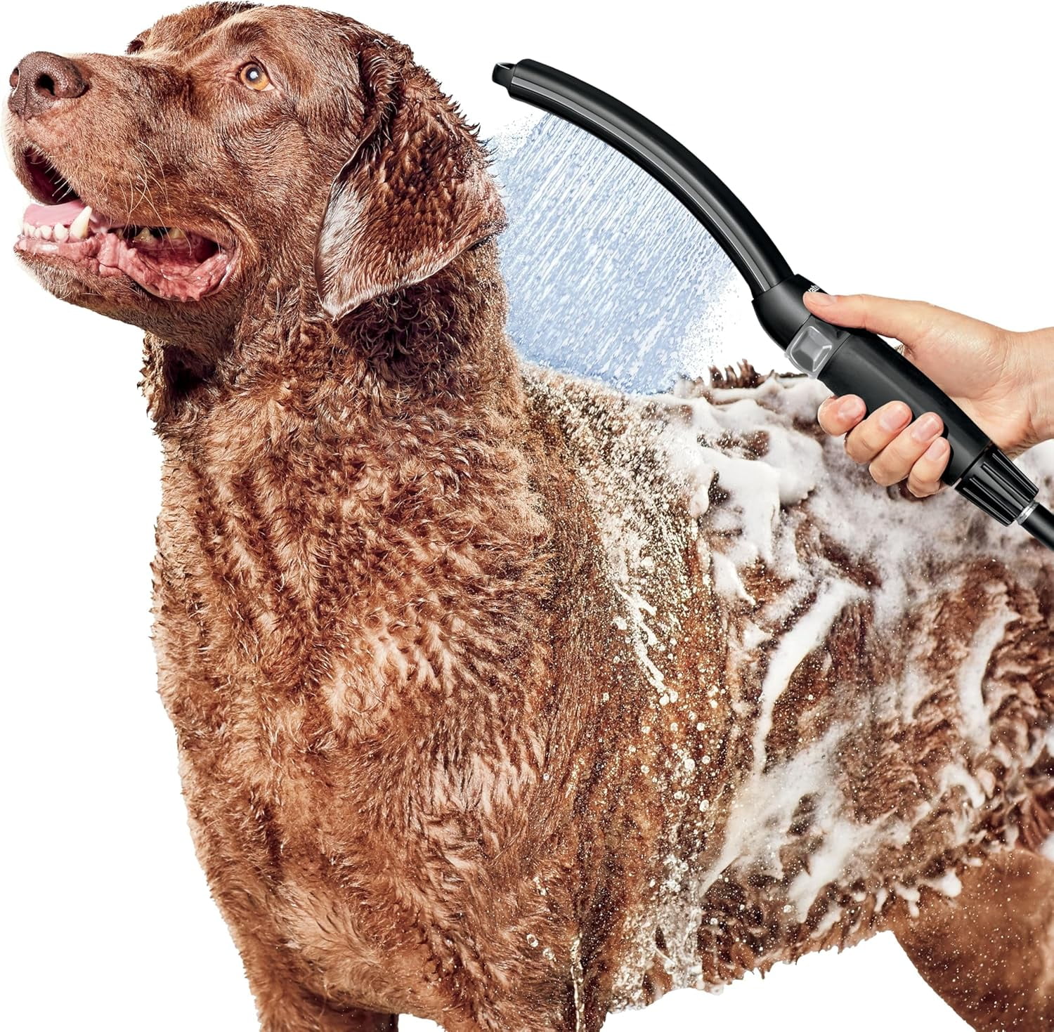 Waterpik Pet Wand Pro Dog Shower Attachment for Fast and Easy Dog ...